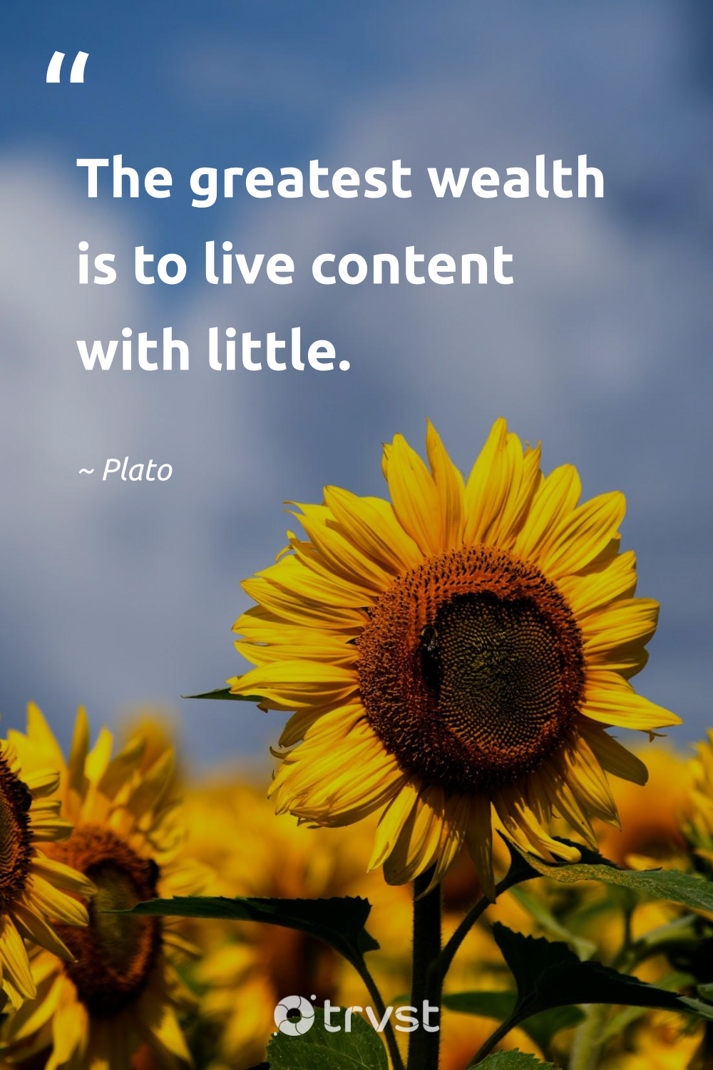 52 Simple Life Quotes About Living More With Less (2025)