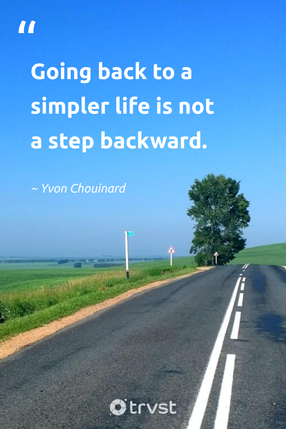 52 Simple Life Quotes About Living More With Less (2024)