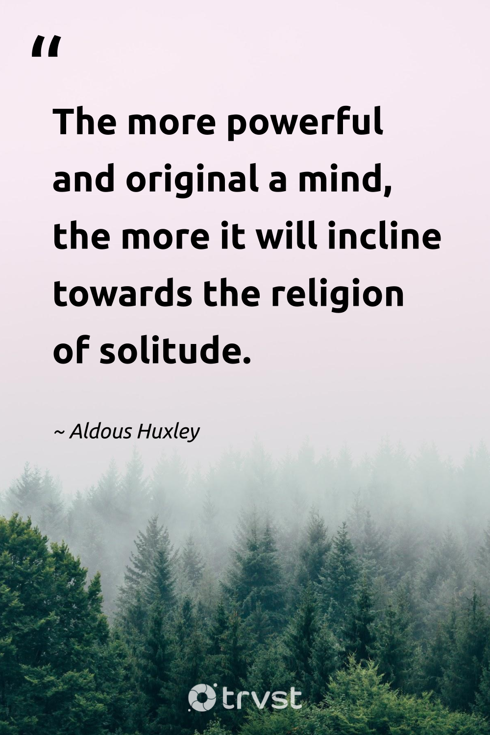 65 Solitude Quotes On Finding Strength In Being Alone (2025)