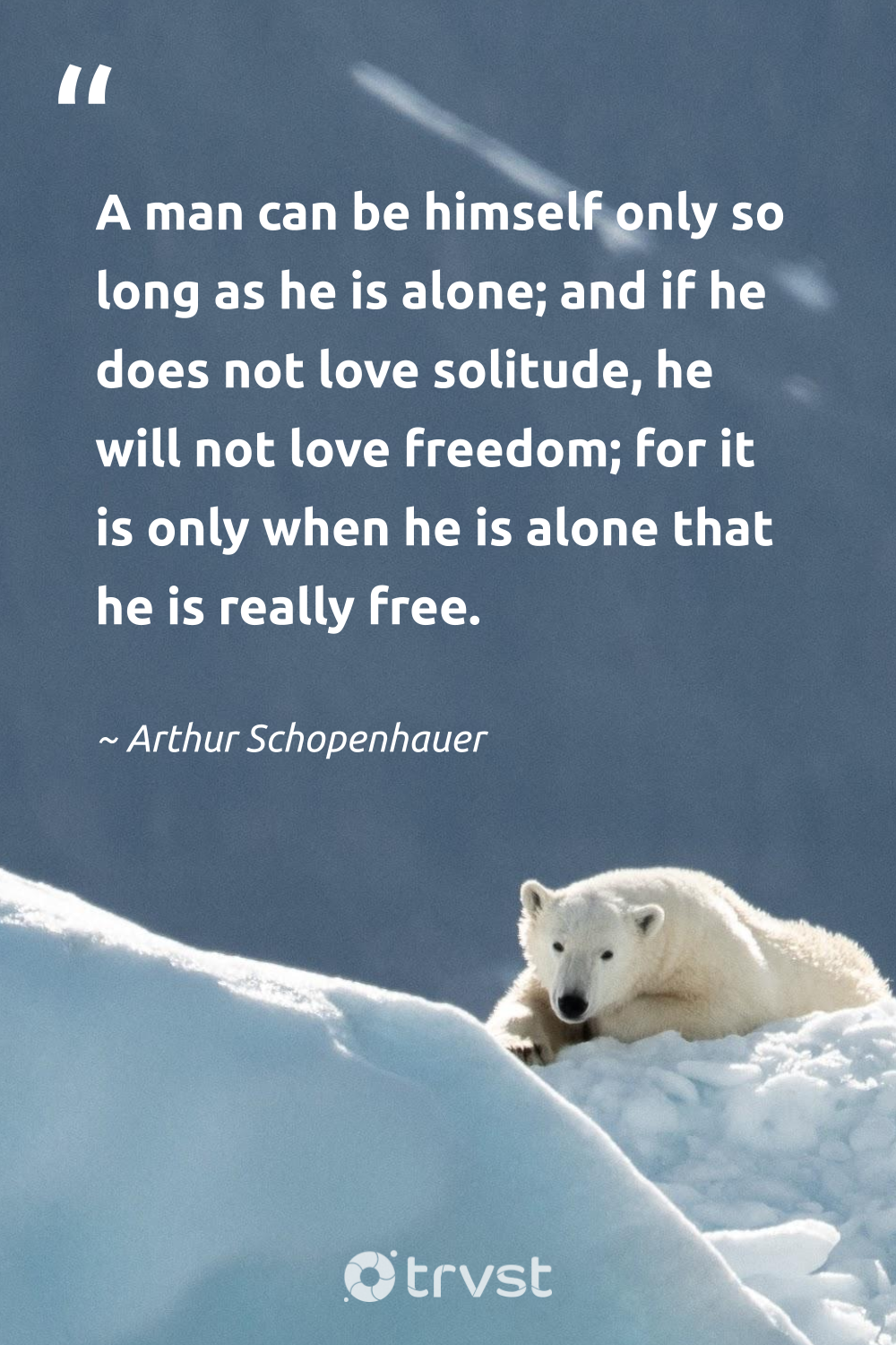 65 Solitude Quotes On Finding Strength In Being Alone (2025)