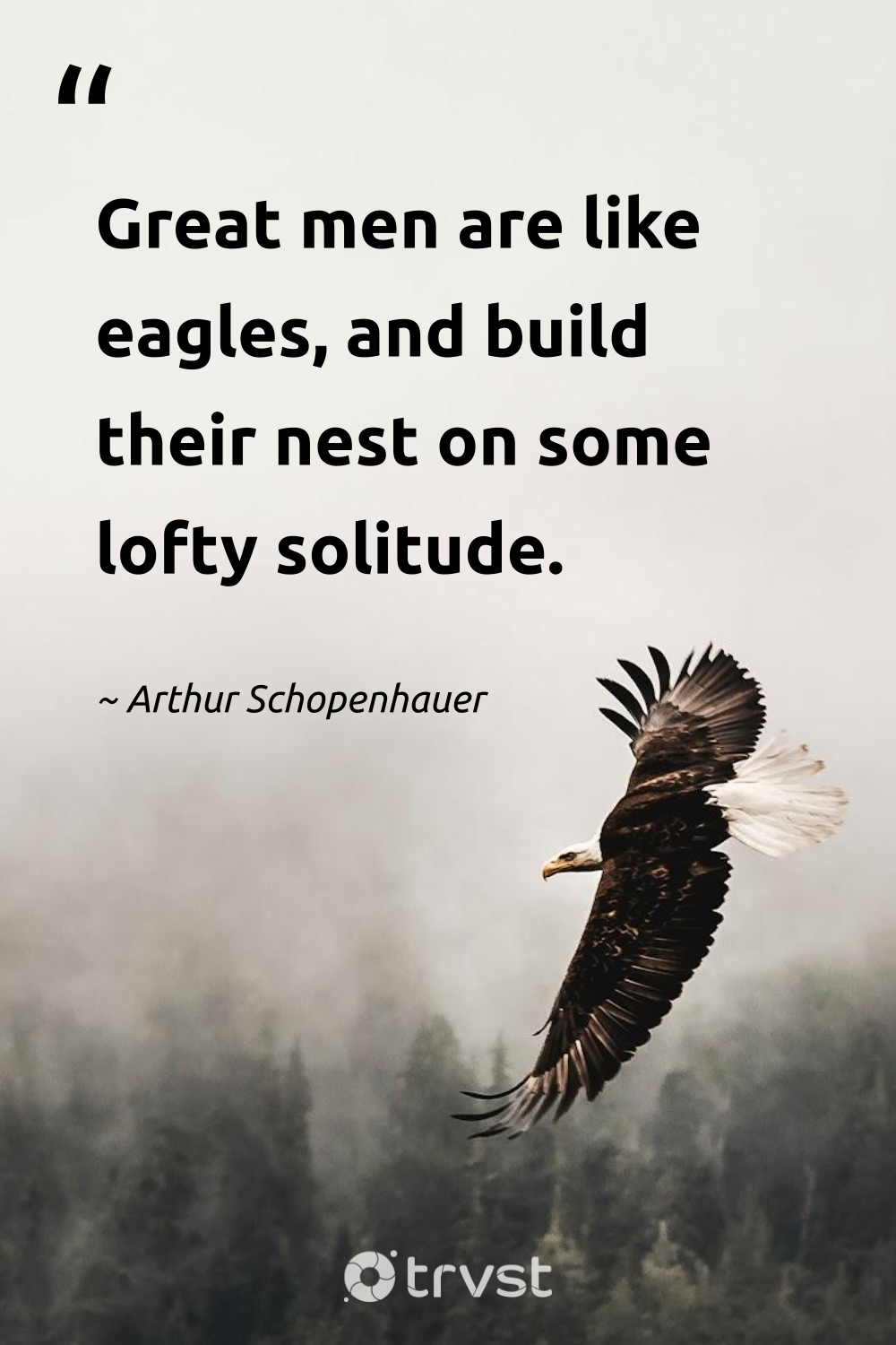 65 Solitude Quotes On Finding Strength In Being Alone (2025)