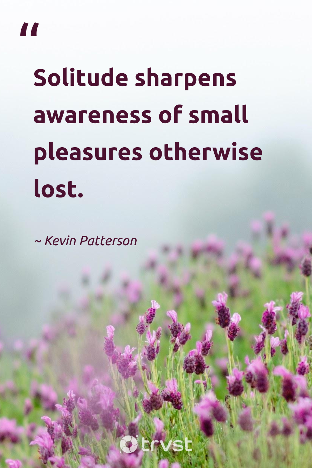 65 Solitude Quotes On Finding Strength In Being Alone (2025)