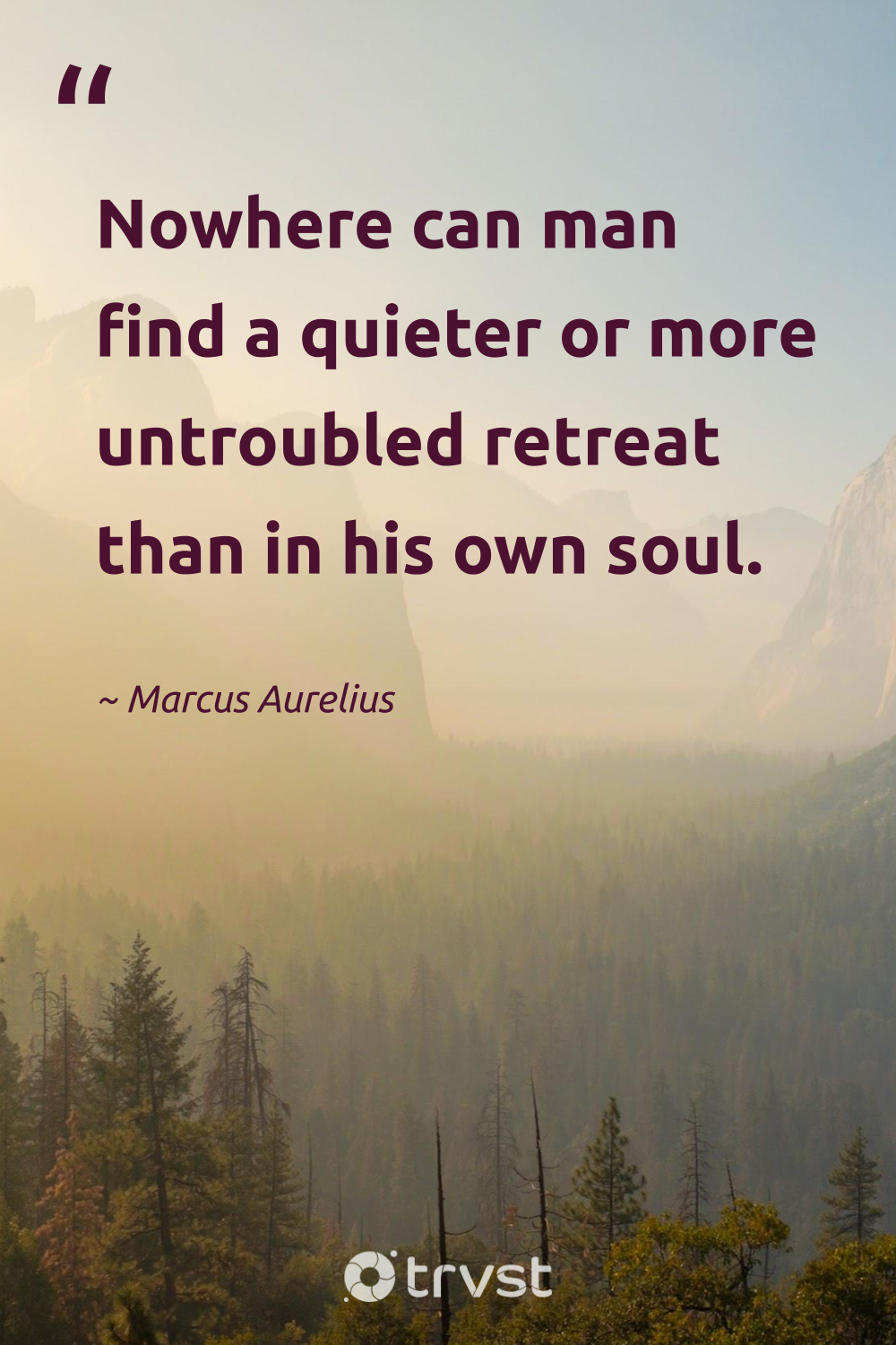 65 Solitude Quotes On Finding Strength In Being Alone (2025)