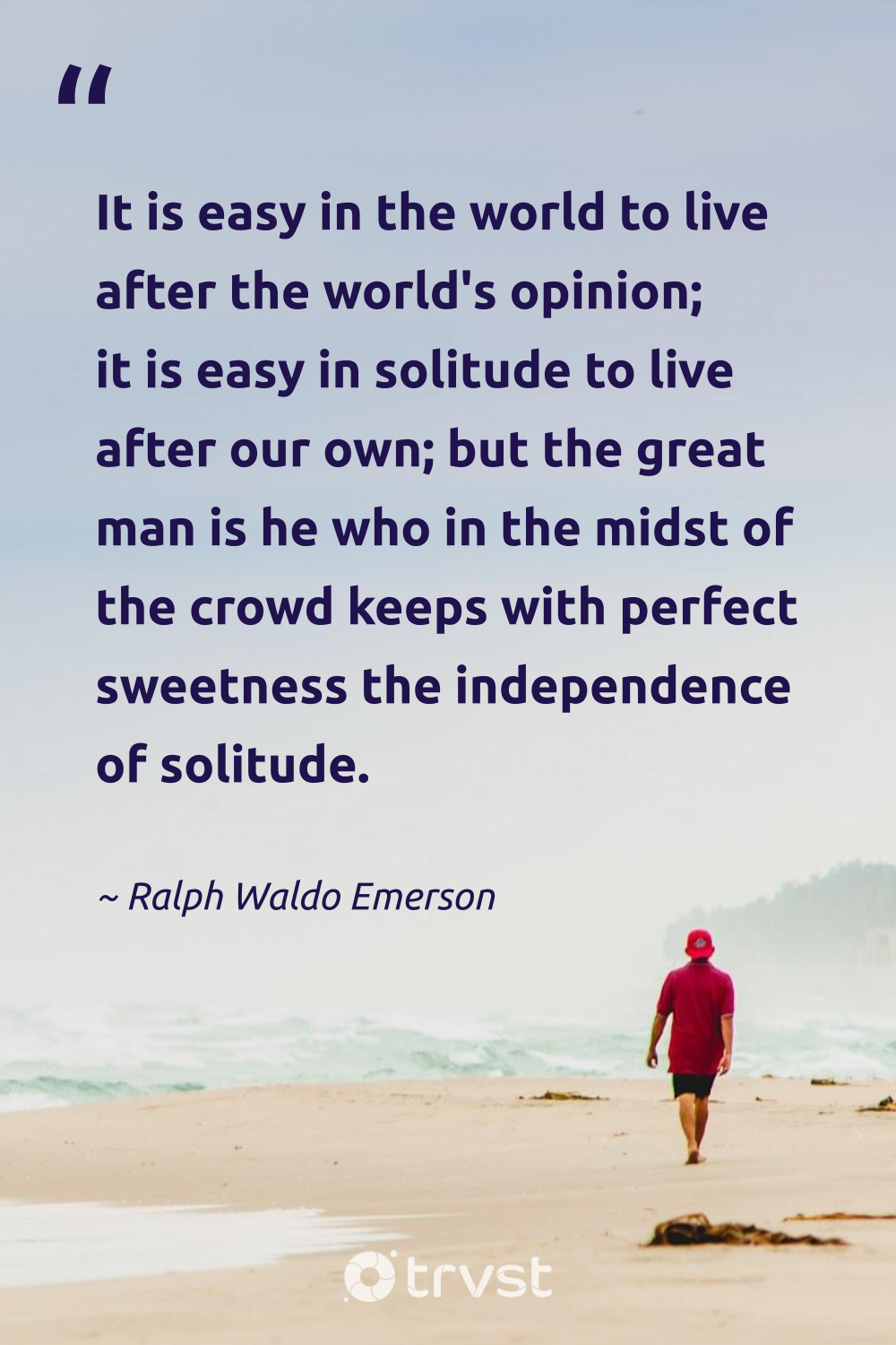 65 Solitude Quotes On Finding Strength In Being Alone (2025)