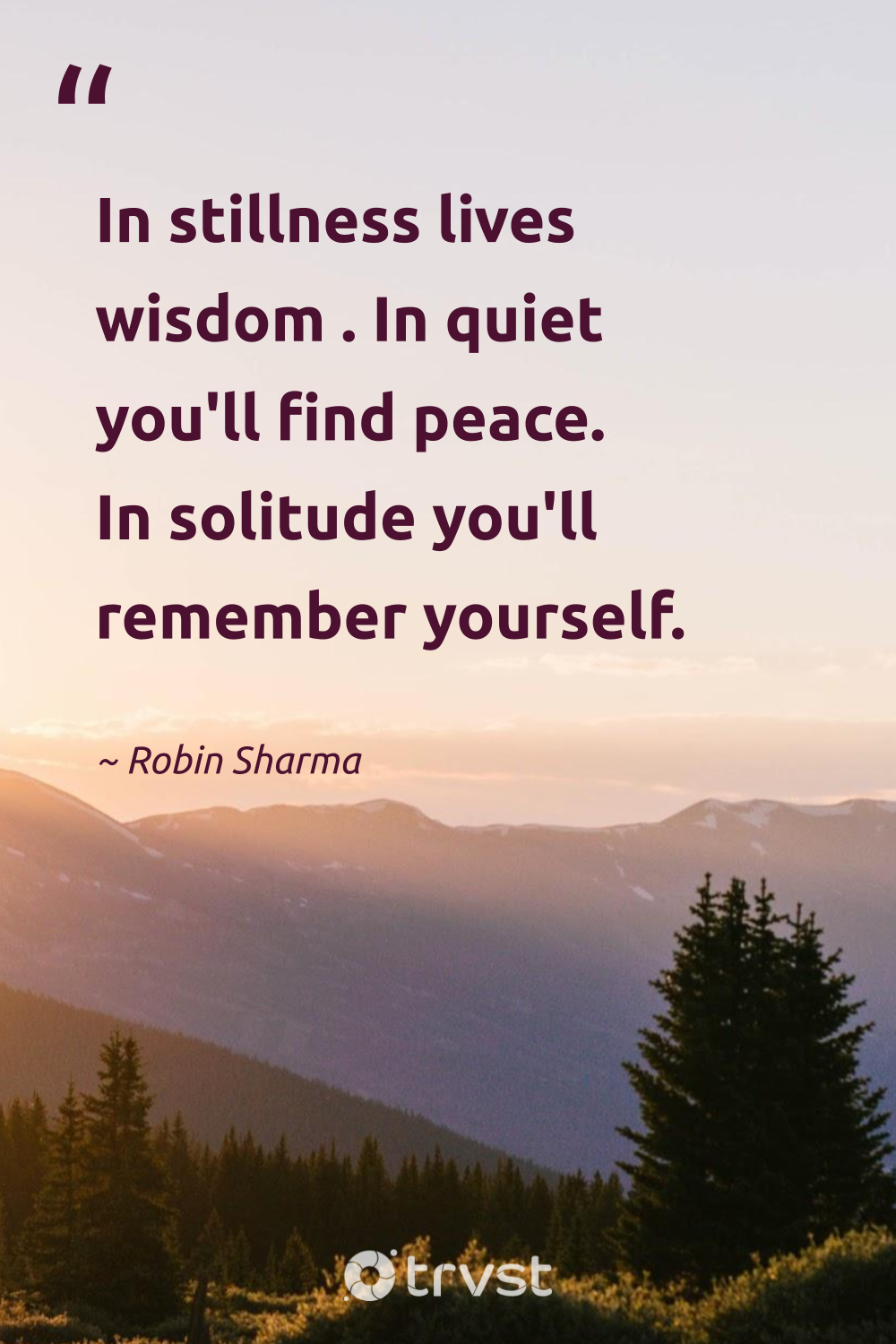 65 Solitude Quotes On Finding Strength In Being Alone (2025)