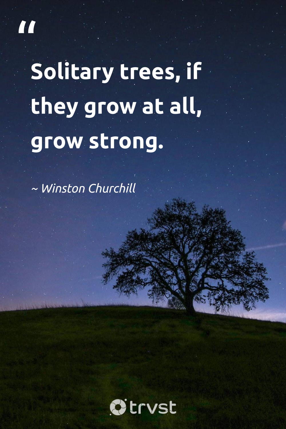 65 Solitude Quotes On Finding Strength In Being Alone (2025)