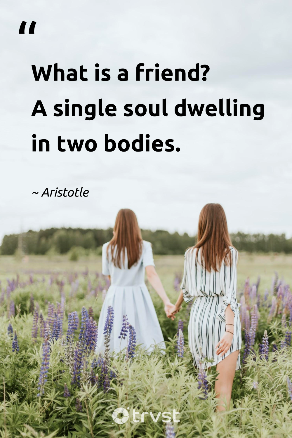 58 Soul Quotes And Sayings To Nurture Your Inner Spirit (2025)