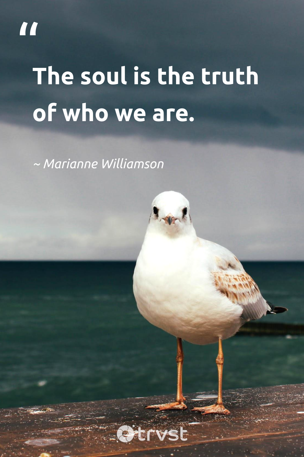 58 Soul Quotes And Sayings To Nurture Your Inner Spirit (2024)