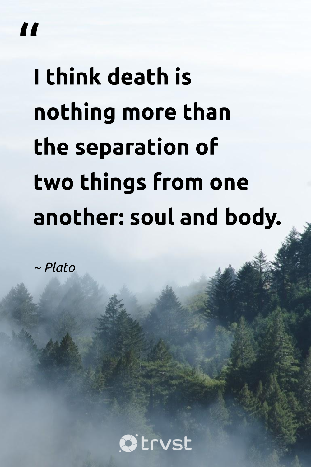 58 Soul Quotes And Sayings To Nurture Your Inner Spirit (2024)