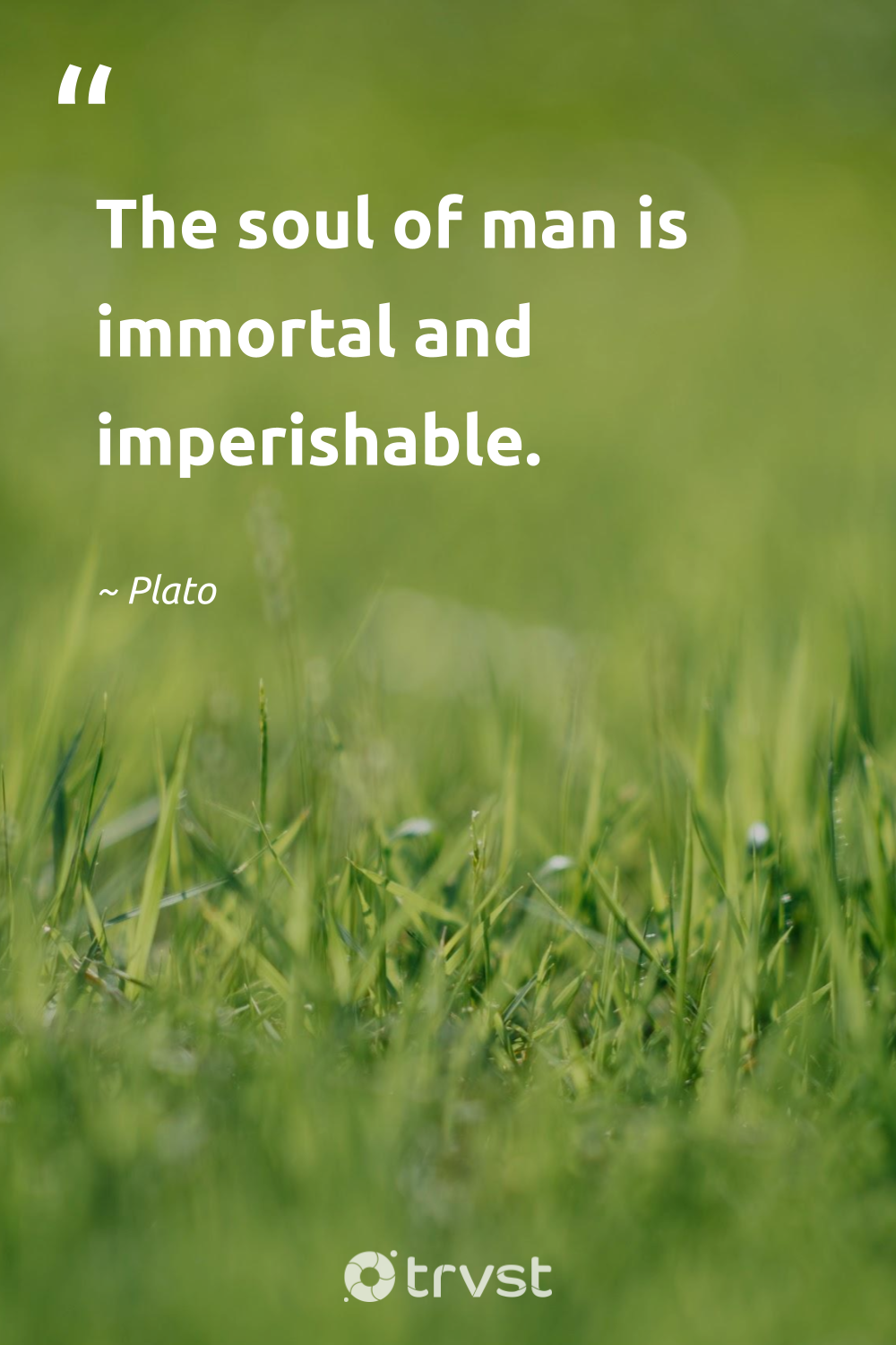 58 Soul Quotes And Sayings To Nurture Your Inner Spirit (2024)