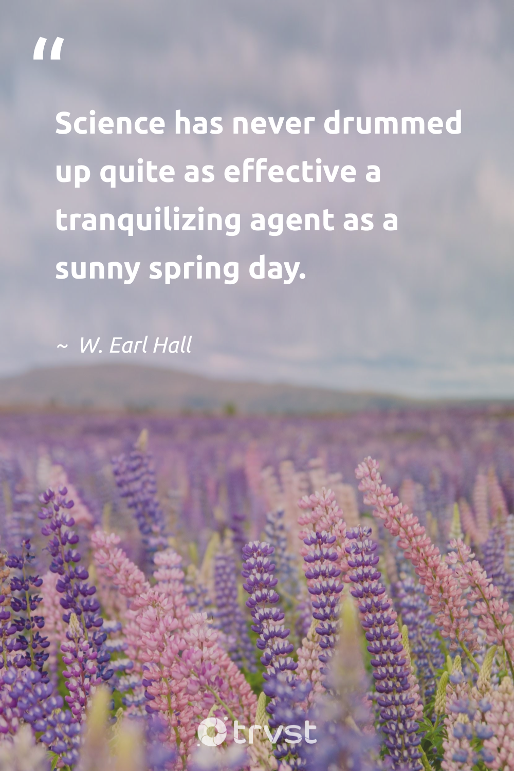 61 Spring Quotes and Sayings Celebrating New Beginnings (2024)