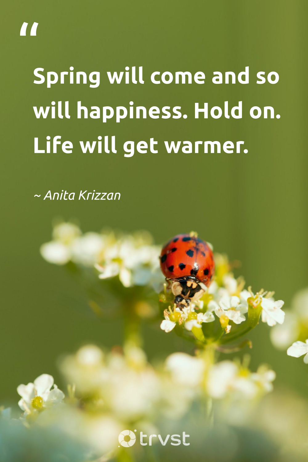 61 Spring Quotes and Sayings Celebrating New Beginnings (2025)