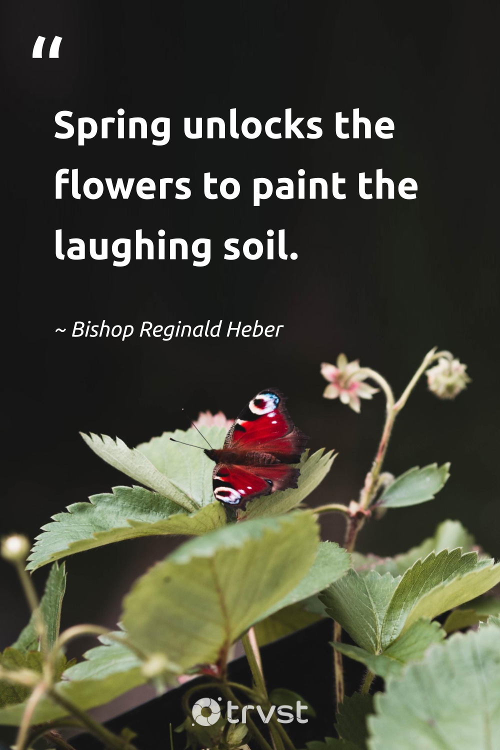 61 Spring Quotes and Sayings Celebrating New Beginnings (2025)