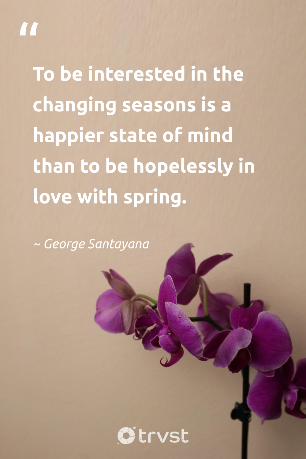 61 Spring Quotes and Sayings Celebrating New Beginnings (2025)