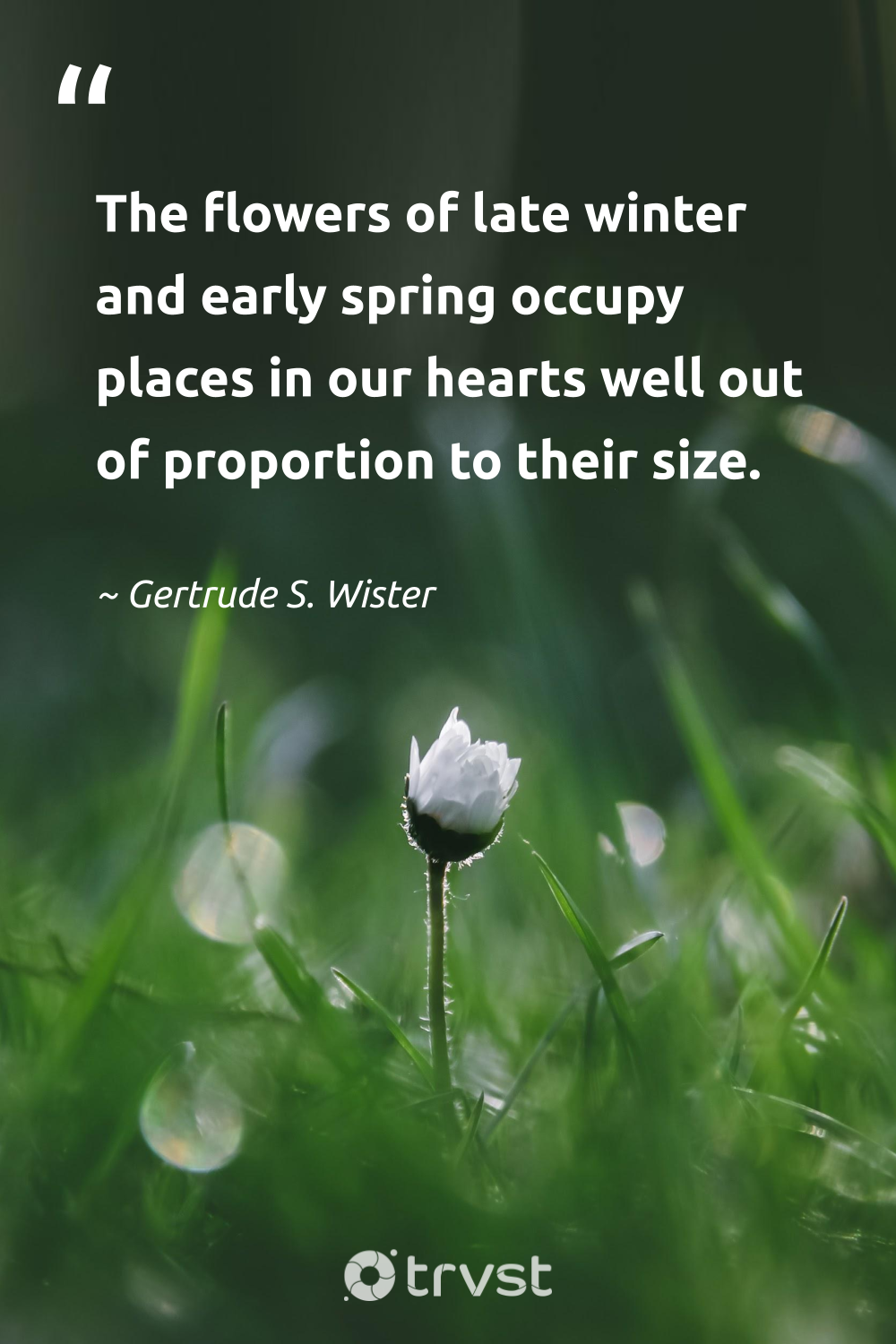 61 Spring Quotes and Sayings Celebrating New Beginnings (2025)