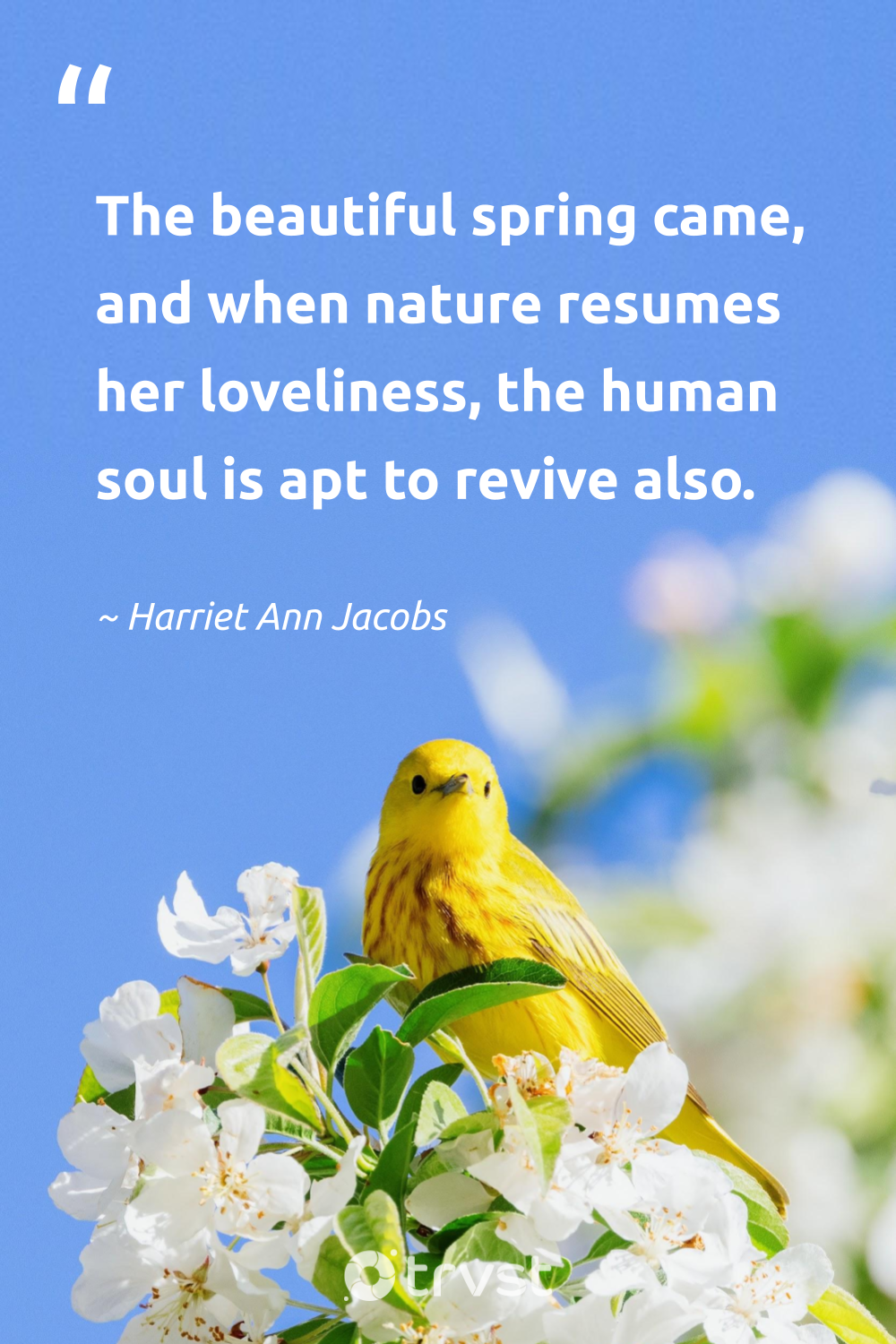 61 Spring Quotes and Sayings Celebrating New Beginnings (2025)