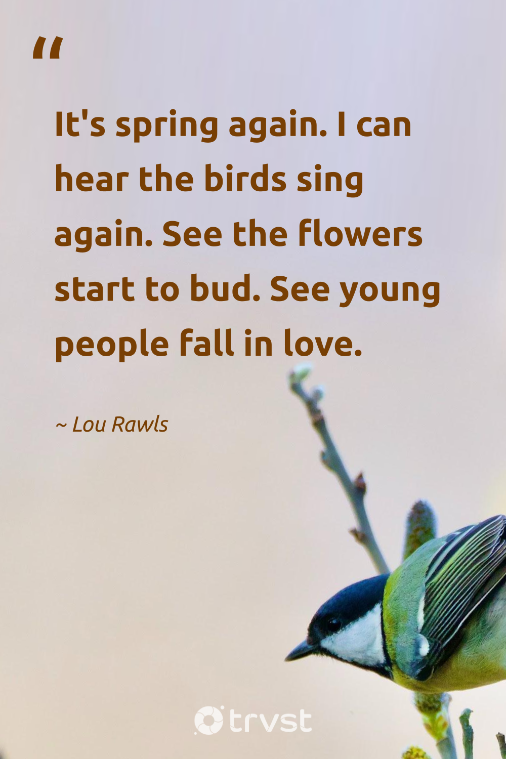 61 Spring Quotes and Sayings Celebrating New Beginnings (2025)