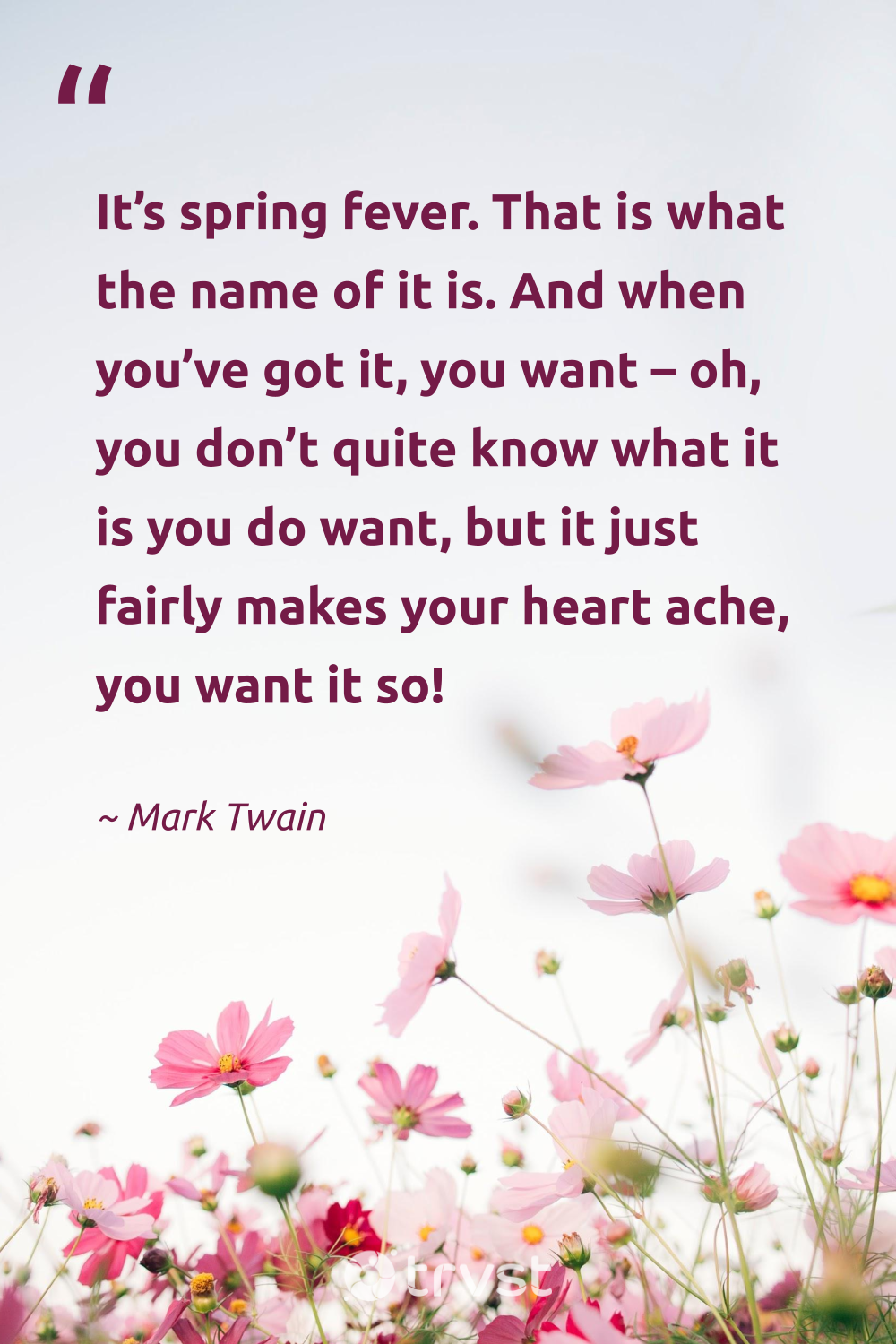 61 Spring Quotes and Sayings Celebrating New Beginnings (2025)