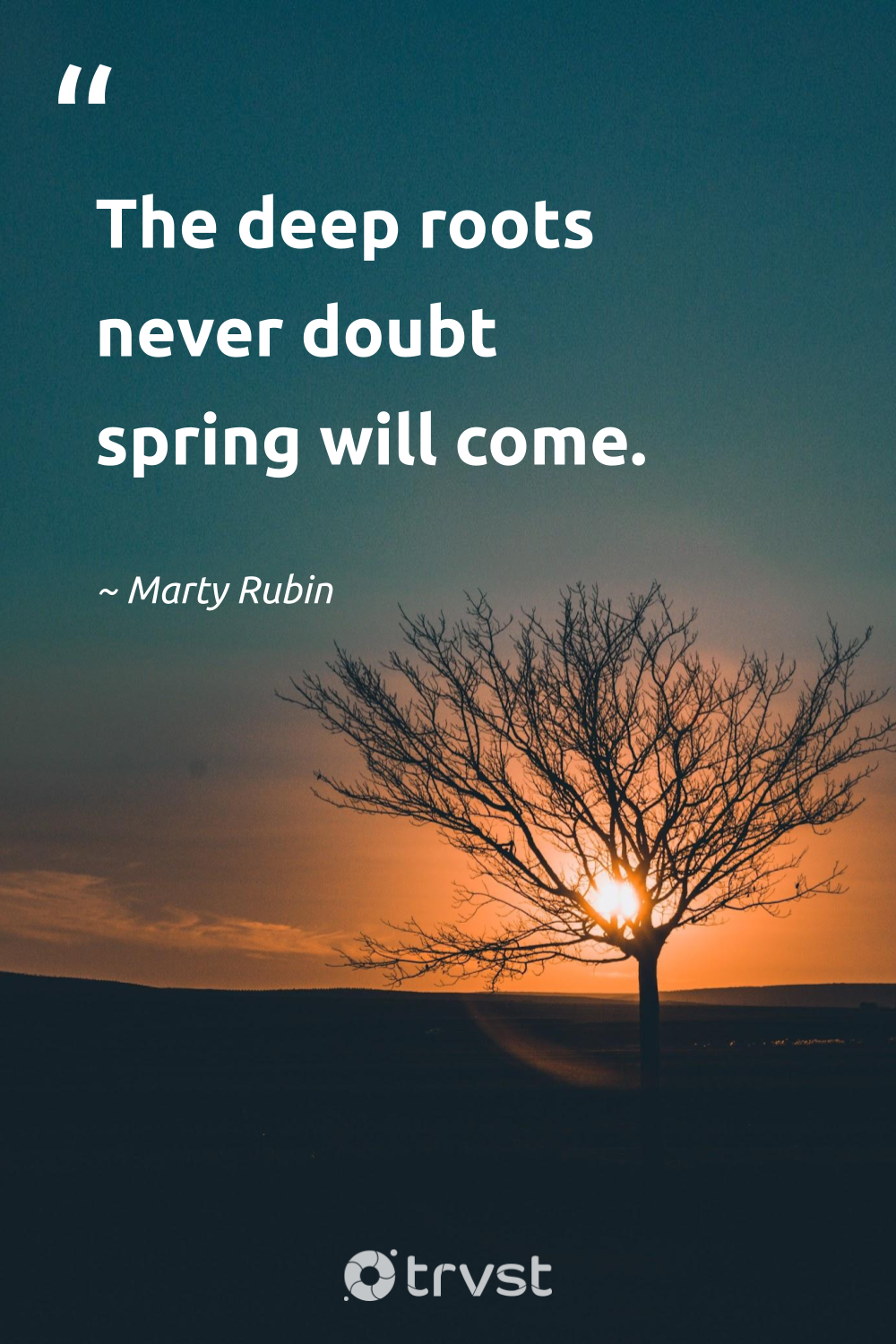 61 Spring Quotes and Sayings Celebrating New Beginnings (2025)