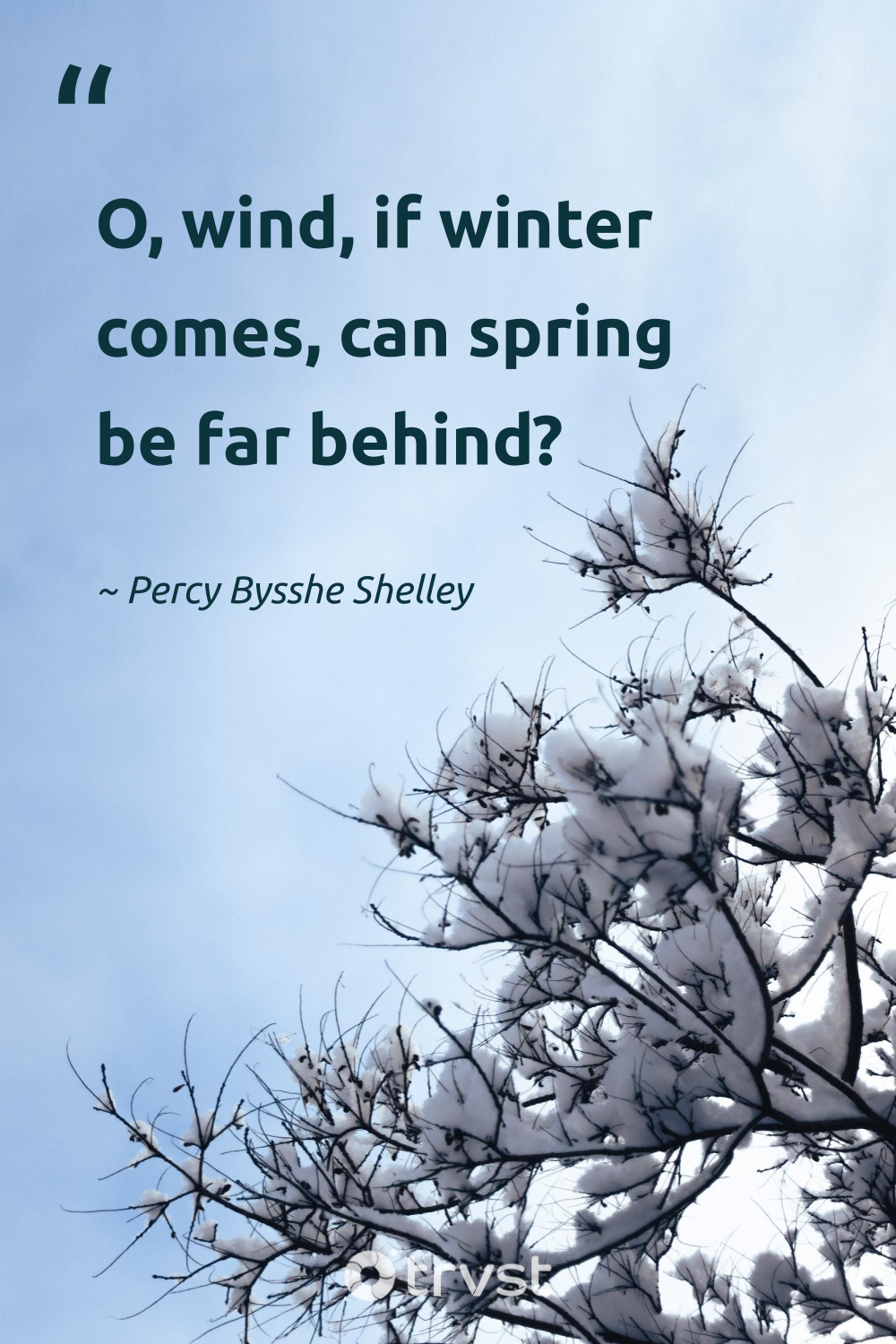 61 Spring Quotes and Sayings Celebrating New Beginnings (2024)