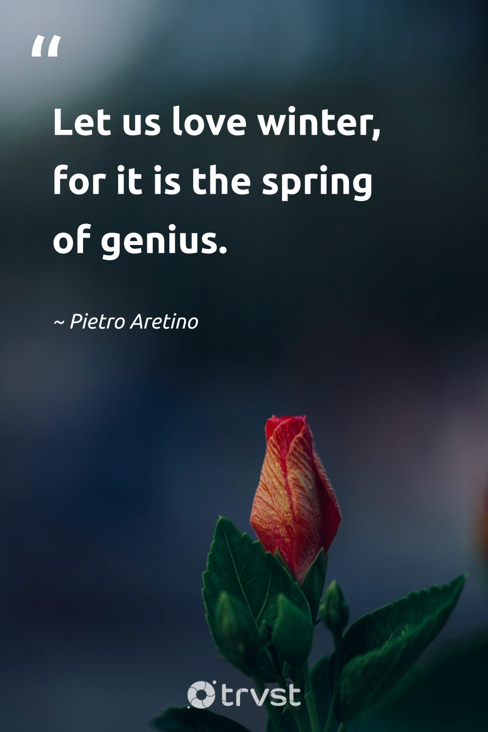 61 Spring Quotes and Sayings Celebrating New Beginnings (2024)