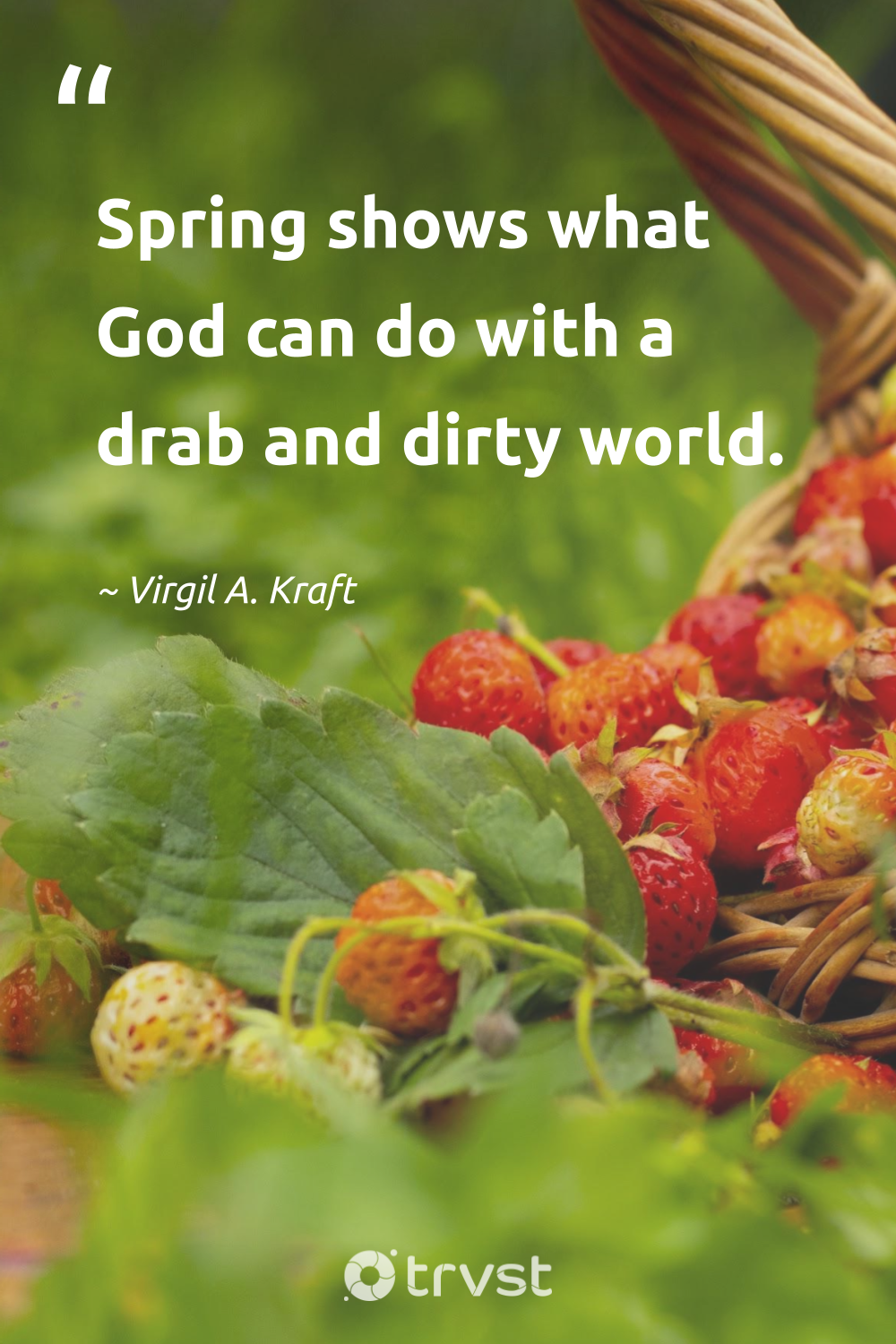 61 Spring Quotes and Sayings Celebrating New Beginnings (2025)