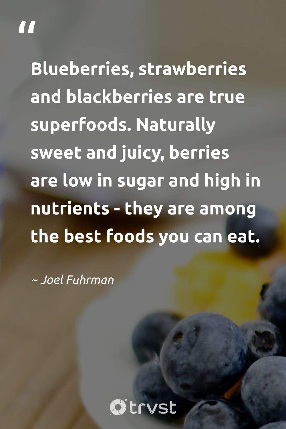 85 Strawberry Quotes To Freshen And Sweeten Your Day