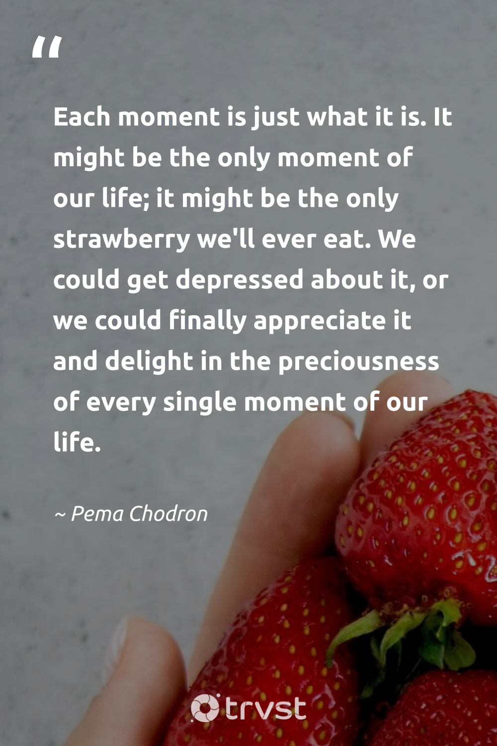 85 Strawberry Quotes To Freshen And Sweeten Your Day