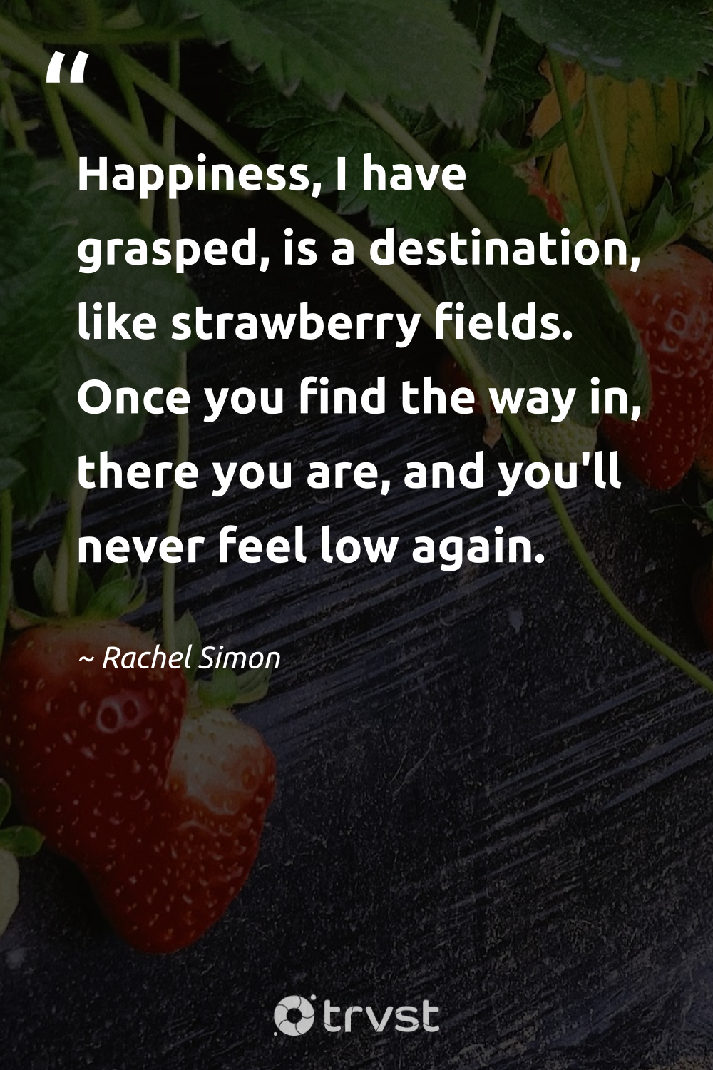 85 Strawberry Quotes To Freshen And Sweeten Your Day