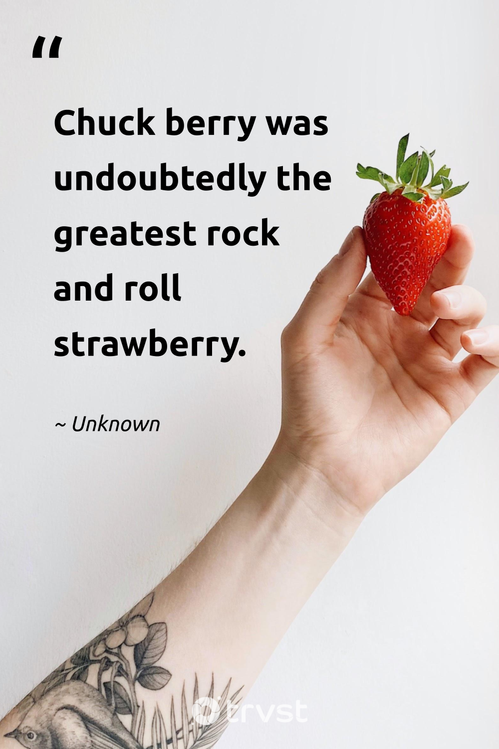 85 Strawberry Quotes To Freshen And Sweeten Your Day