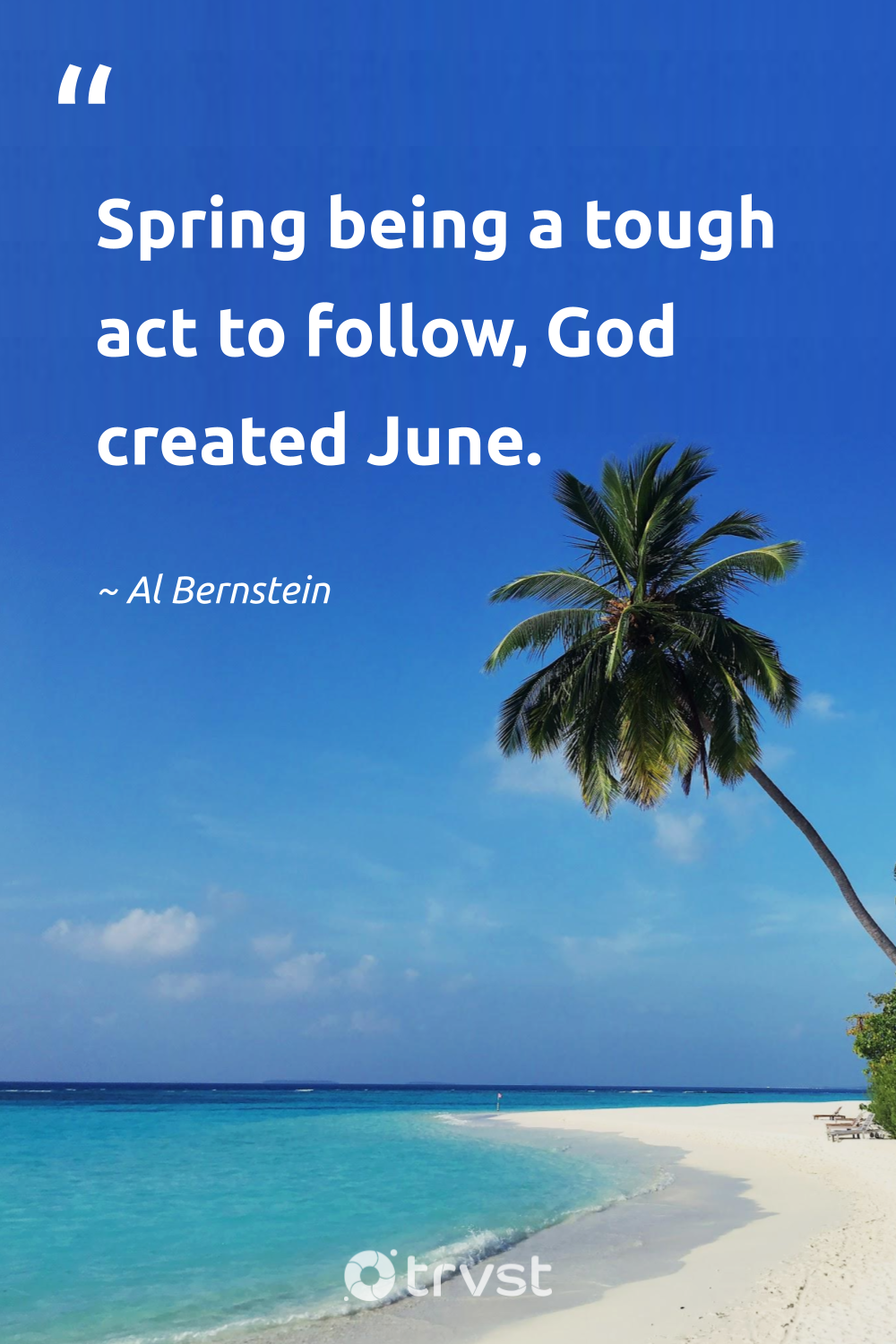 43 Summer Quotes to Beat the Heat