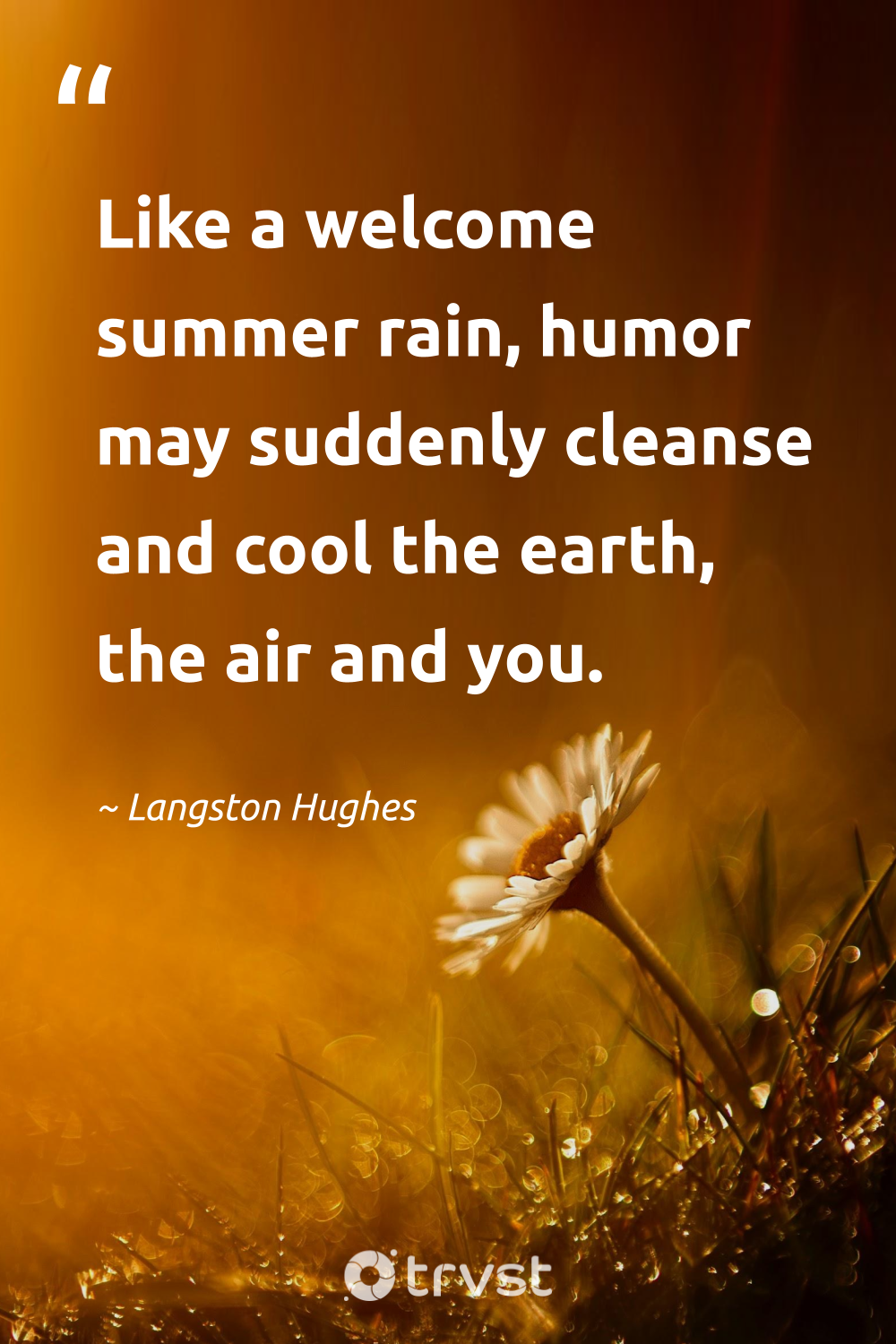 43 Summer Quotes to Beat the Heat