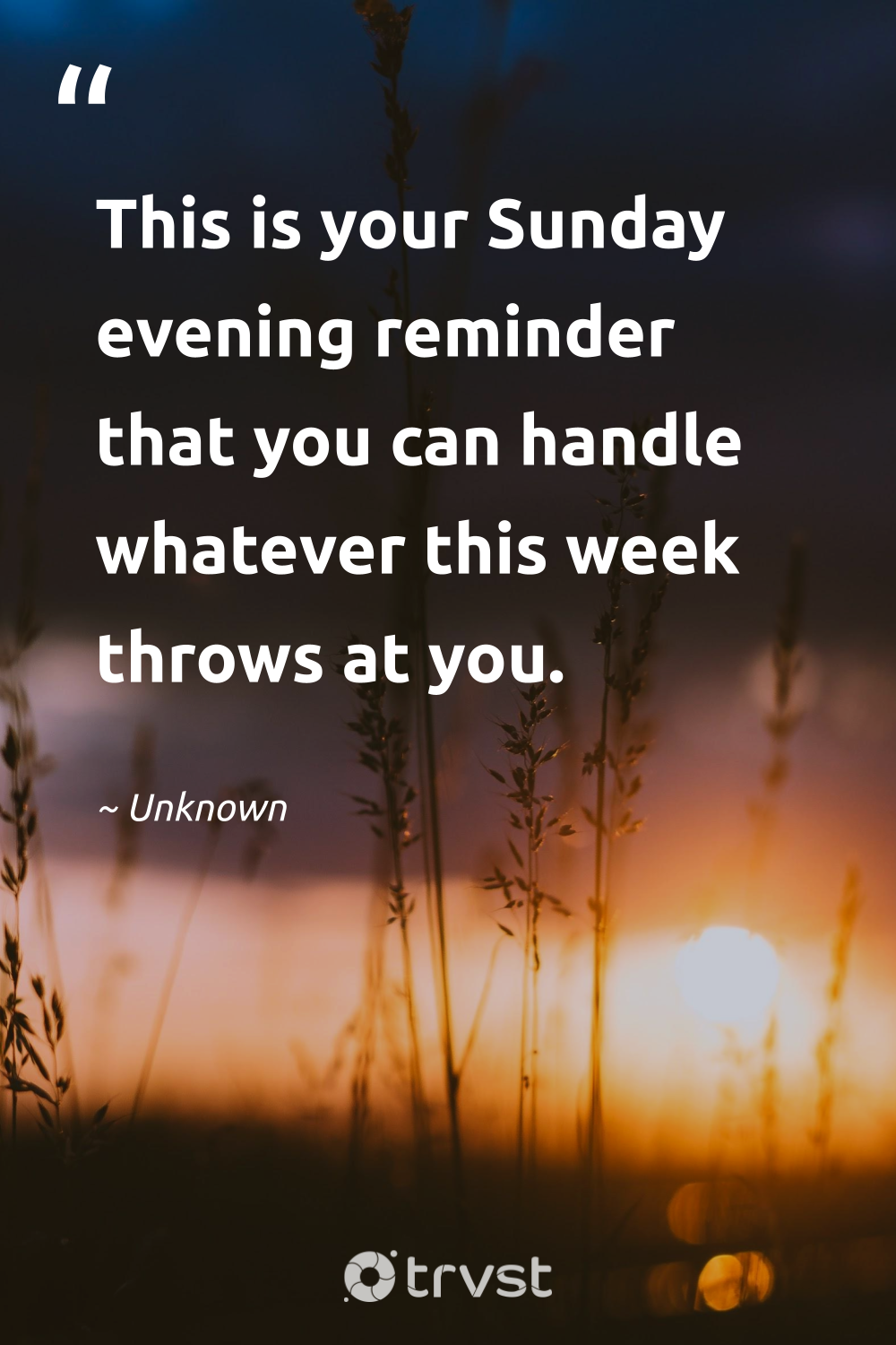 50 Sunday Quotes and Sayings to Encourage Real Rest