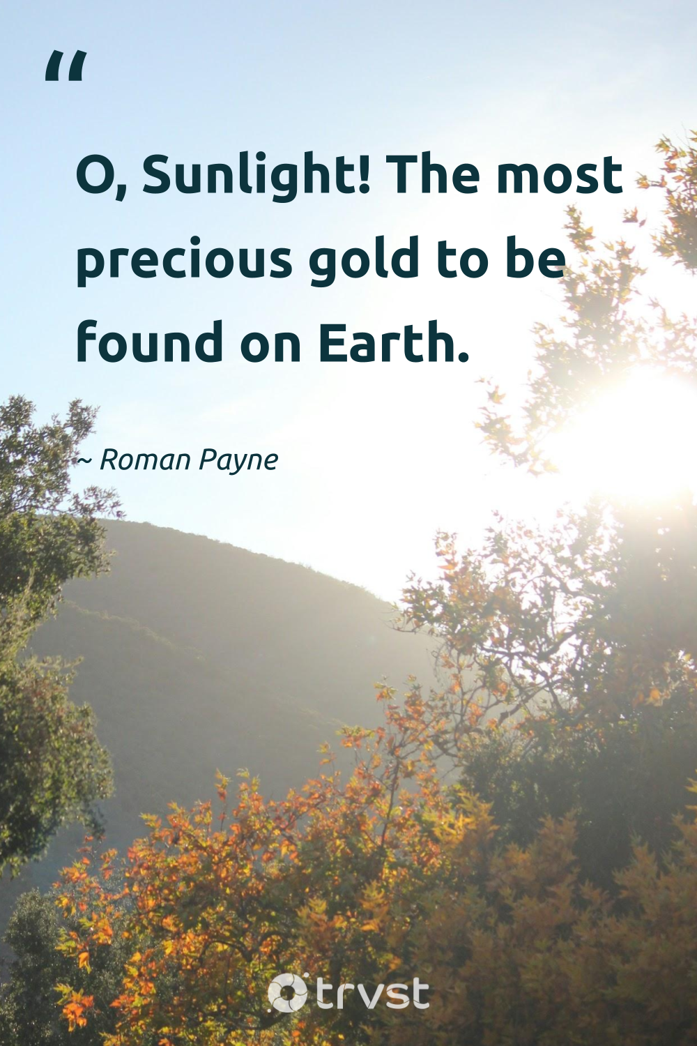 40 Sunny Day Quotes Radiating Joyful Moments