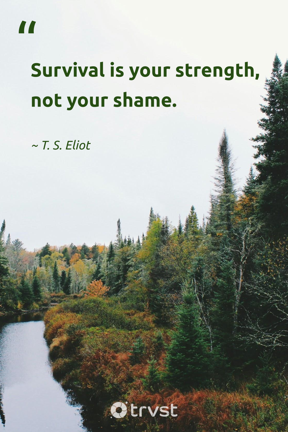 50 Survival Quotes Helping You Sail Through The Storm