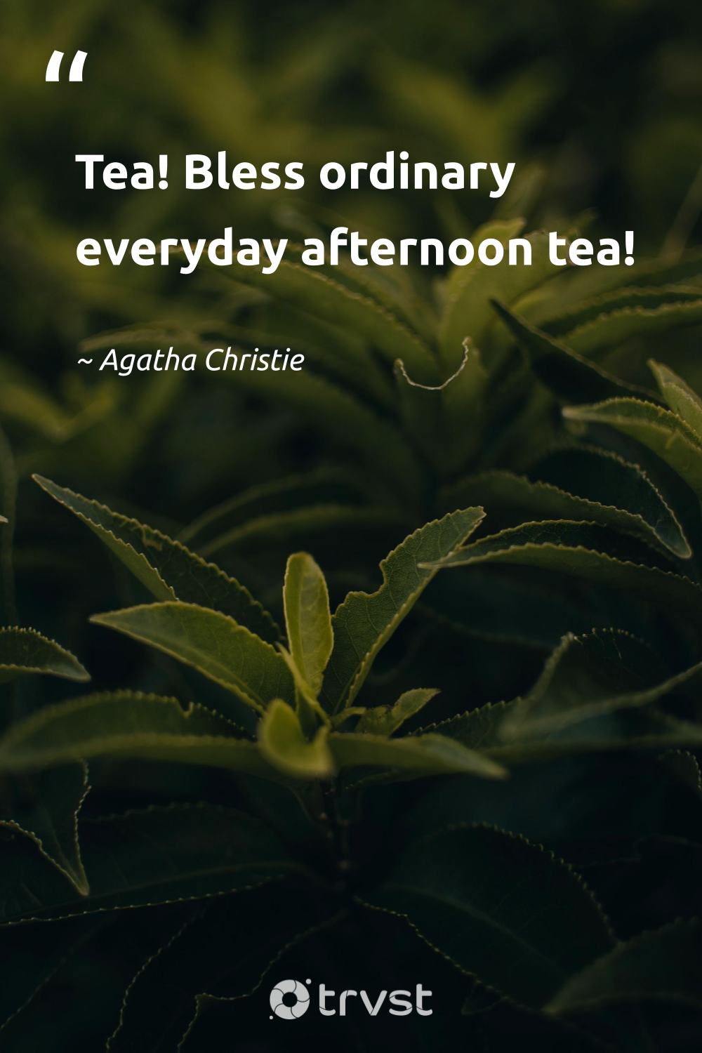 28 Tea Quotes to Read While Drinking a Cuppa