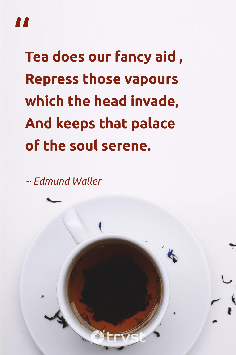 28 Tea Quotes to Read While Drinking a Cuppa