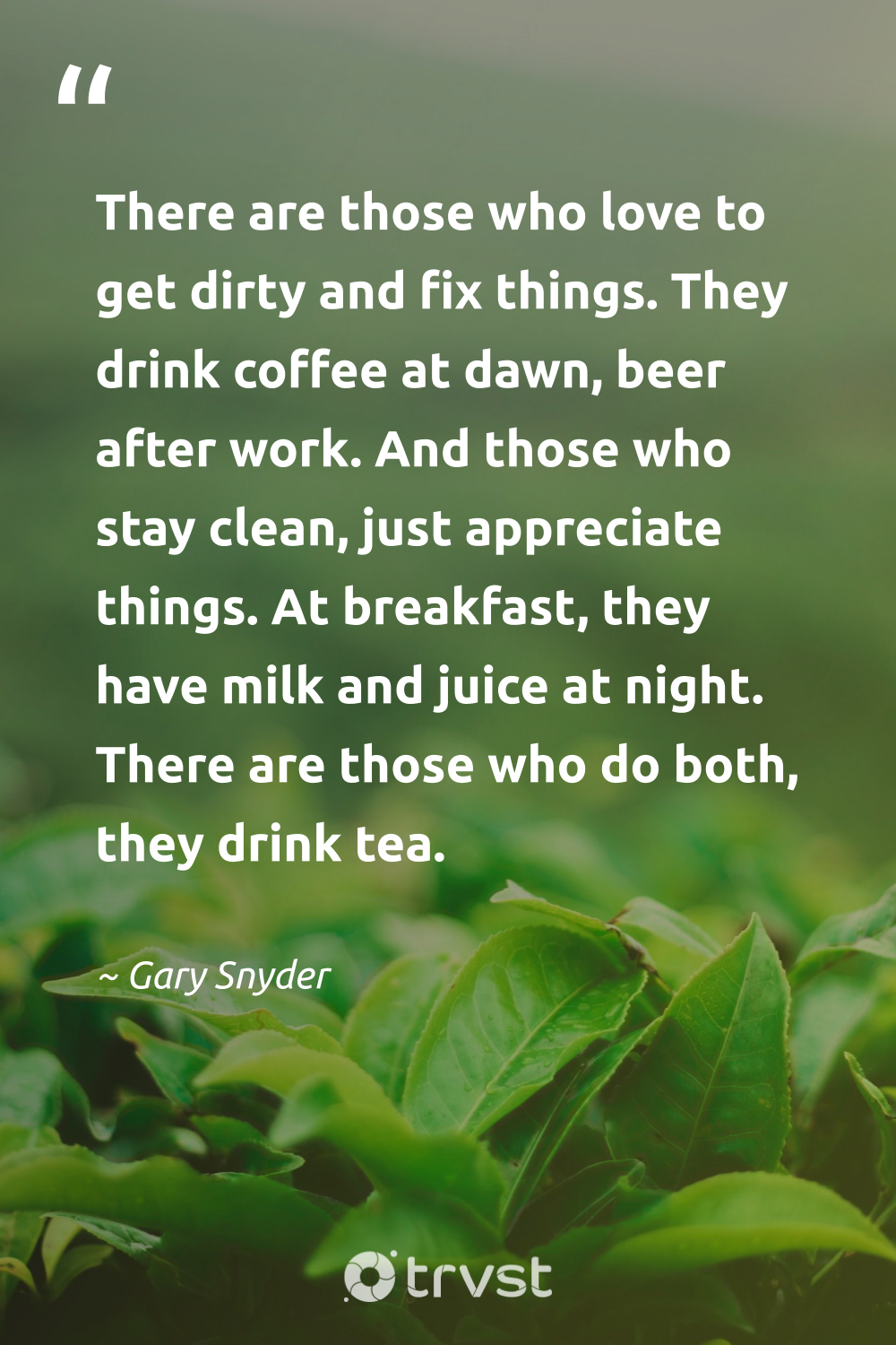 28 Tea Quotes to Read While Drinking a Cuppa