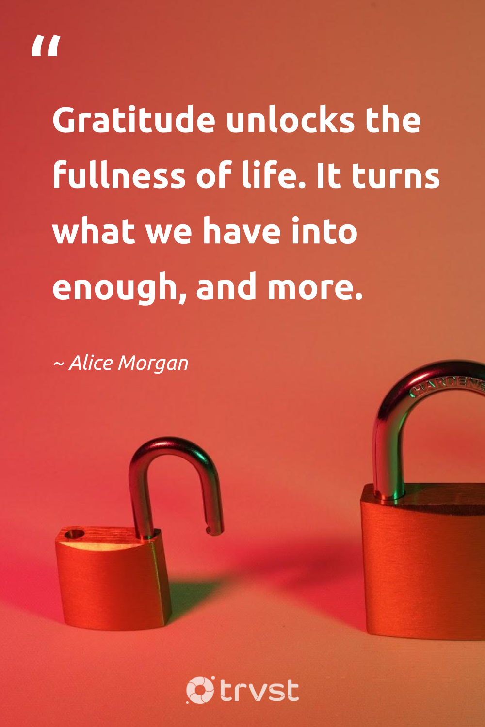 58 Thanksgiving Quotes For Celebrations & Gratitude