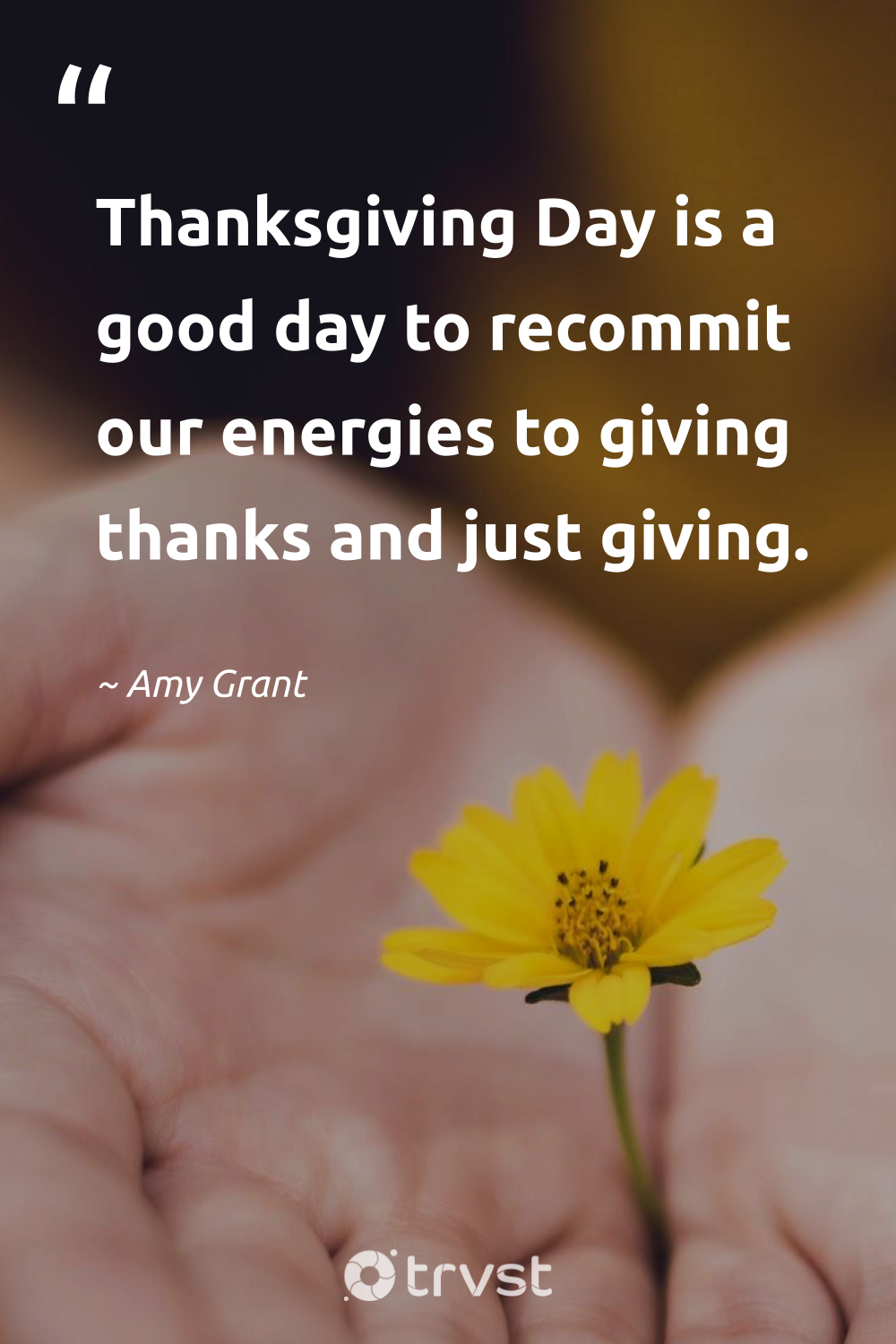 58 Thanksgiving Quotes For Celebrations & Gratitude