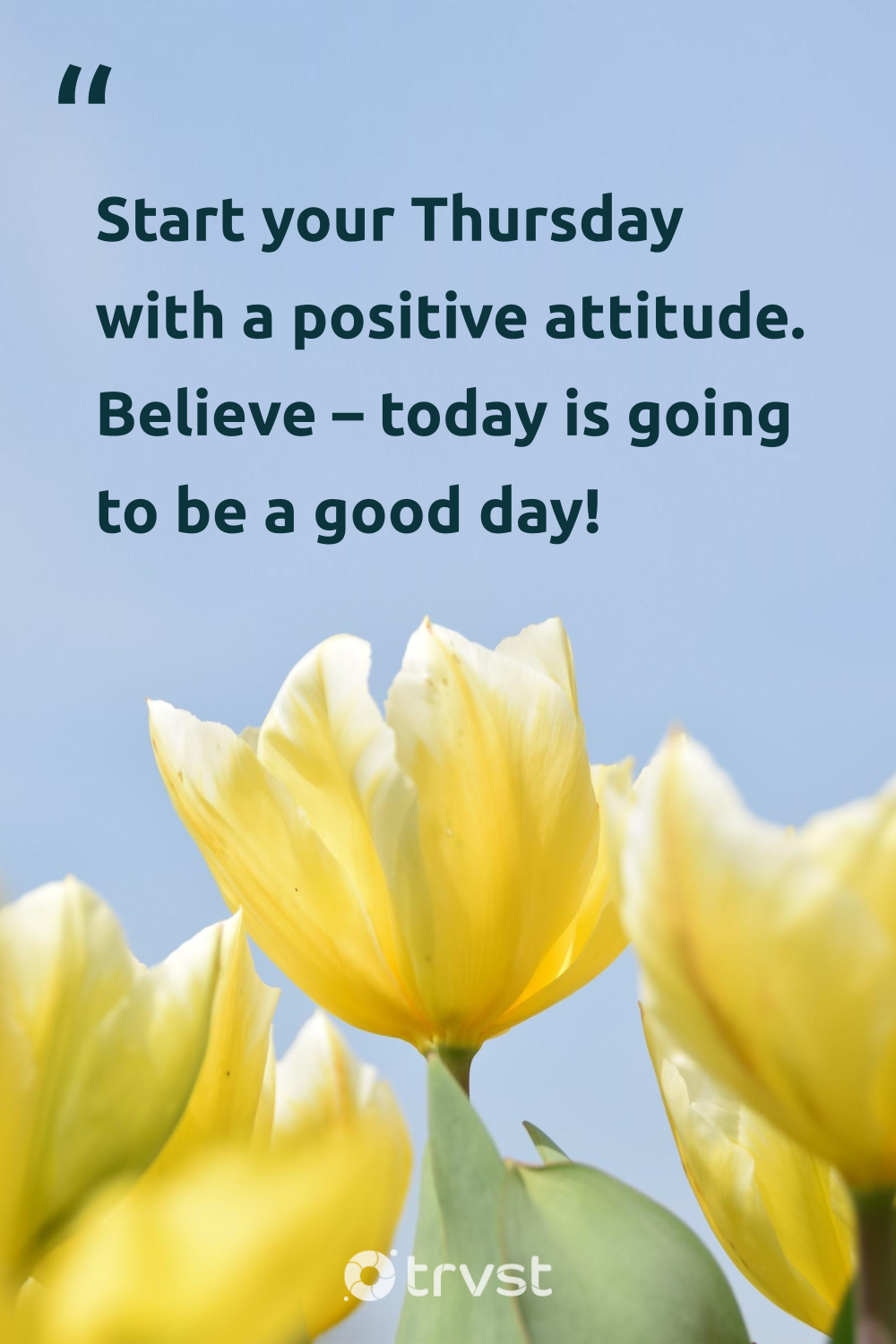 66 Thursday Quotes and Sayings for a Brilliant Day (2024)