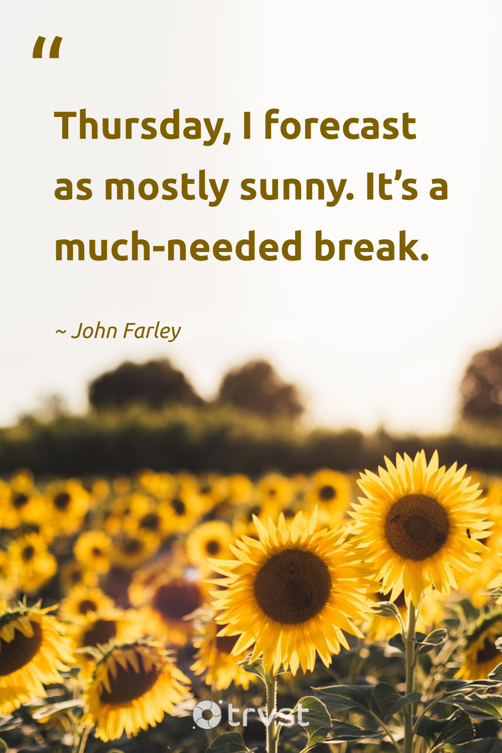 66 Thursday Quotes and Sayings for a Brilliant Day (2024)