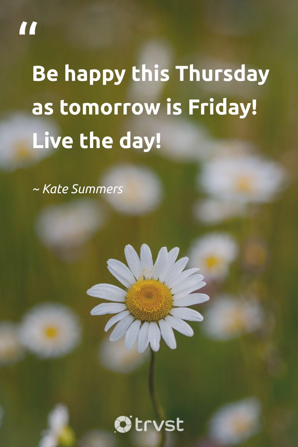 66 Thursday Quotes and Sayings for a Brilliant Day (2024)