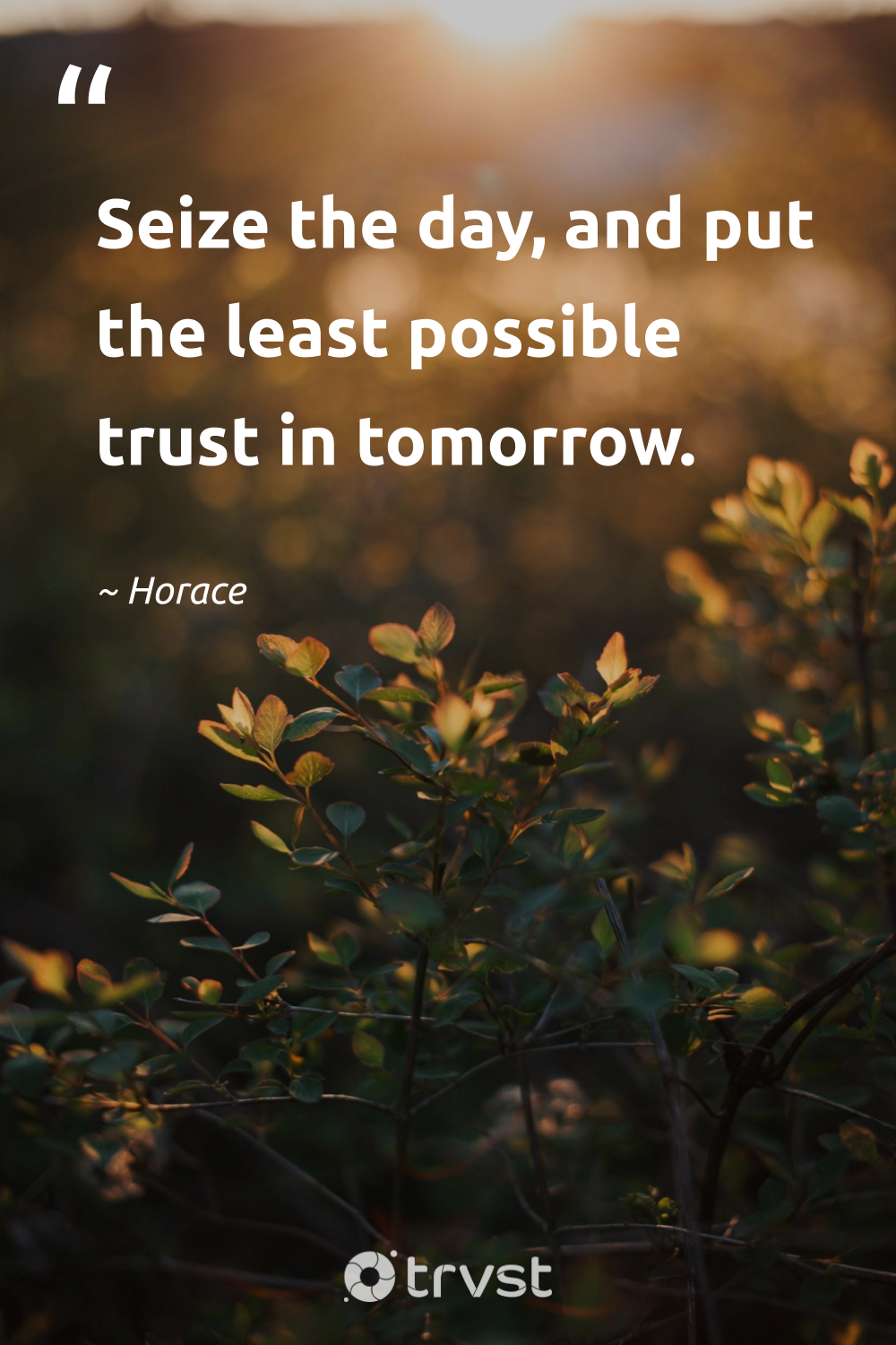 32 Tomorrow Quotes For Moving Forward While Living In The Now