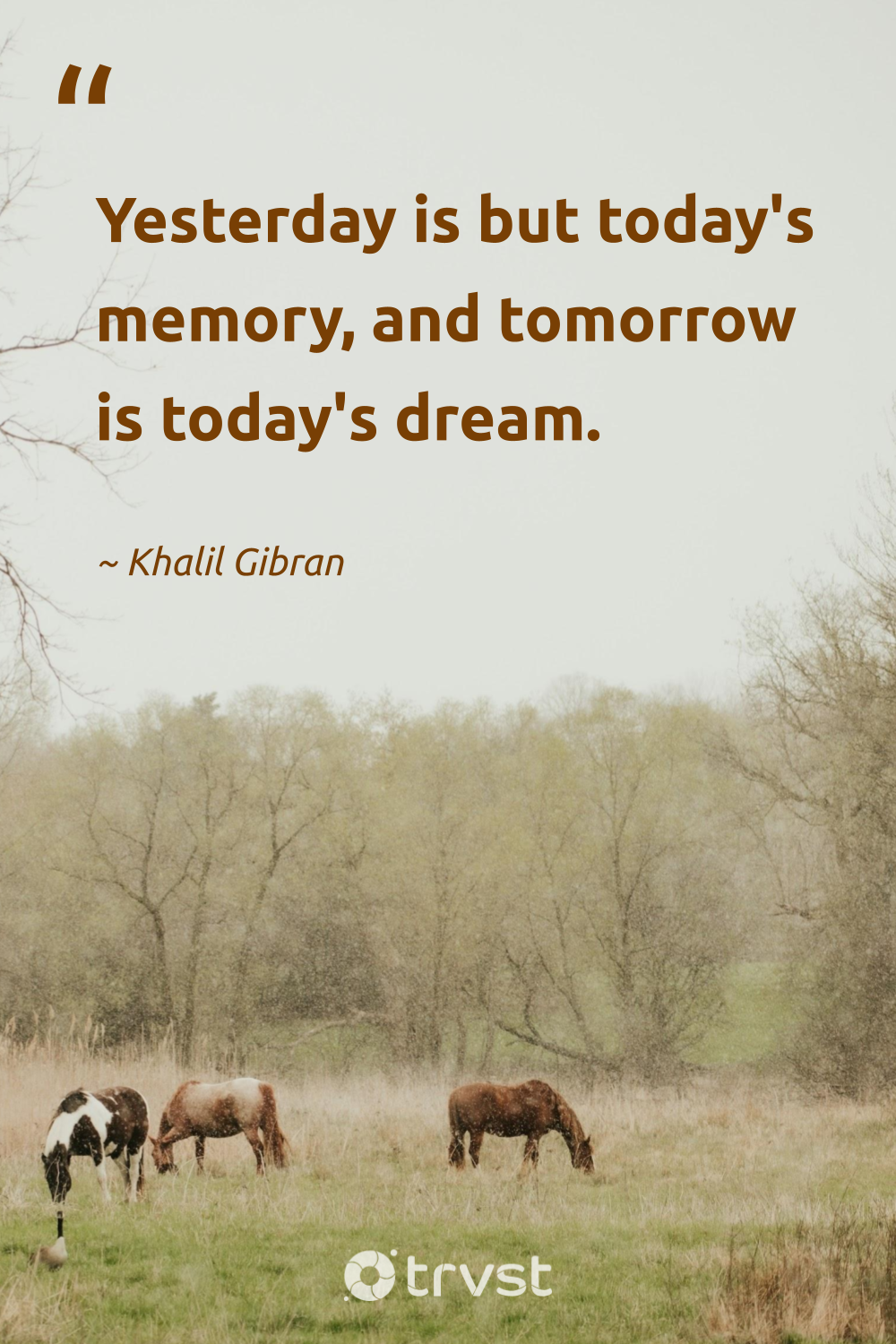 32 Tomorrow Quotes For Moving Forward While Living In The Now