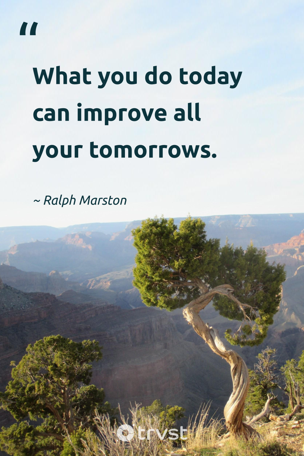 32 Tomorrow Quotes For Moving Forward While Living In The Now