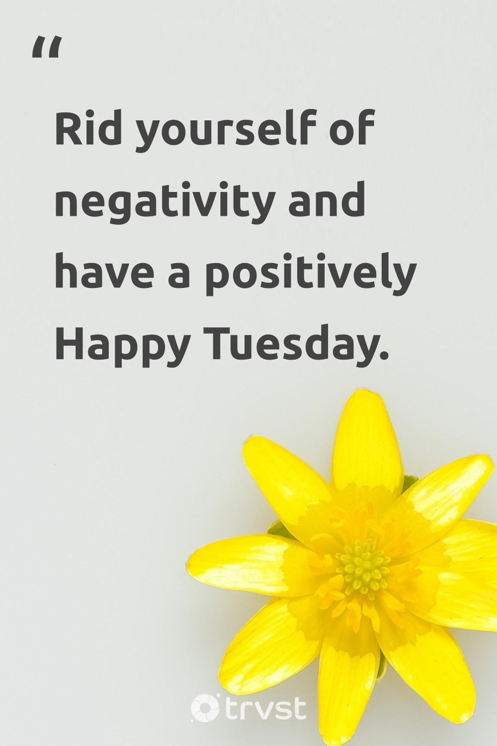 79 Tuesday Quotes and Sayings to Inspire a Terrific Day (2025)