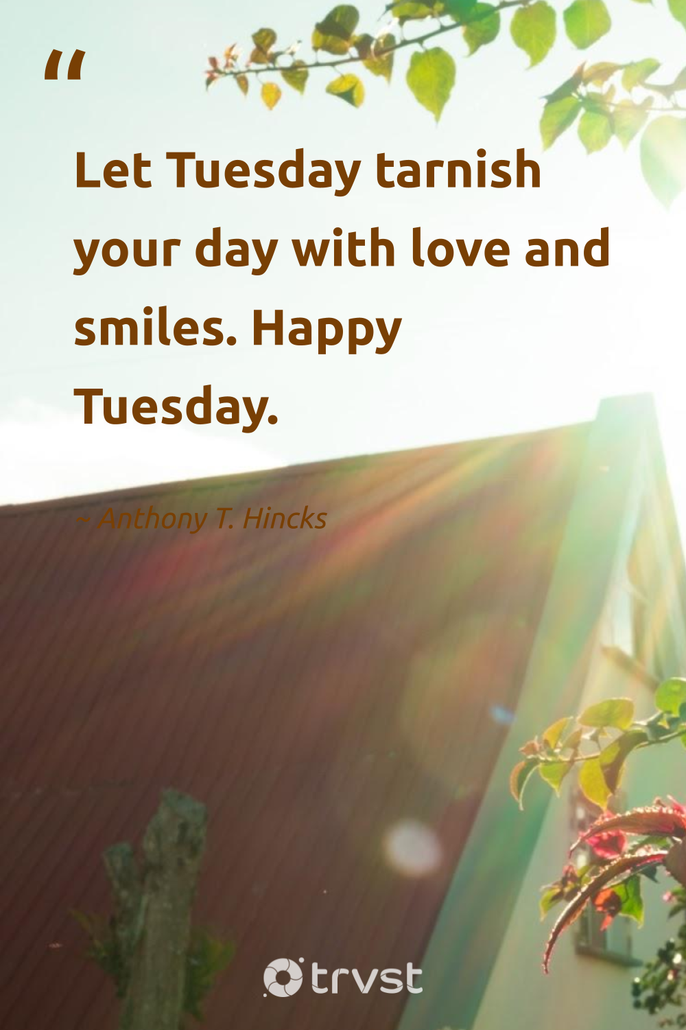 79 Tuesday Quotes and Sayings to Inspire a Terrific Day (2024)