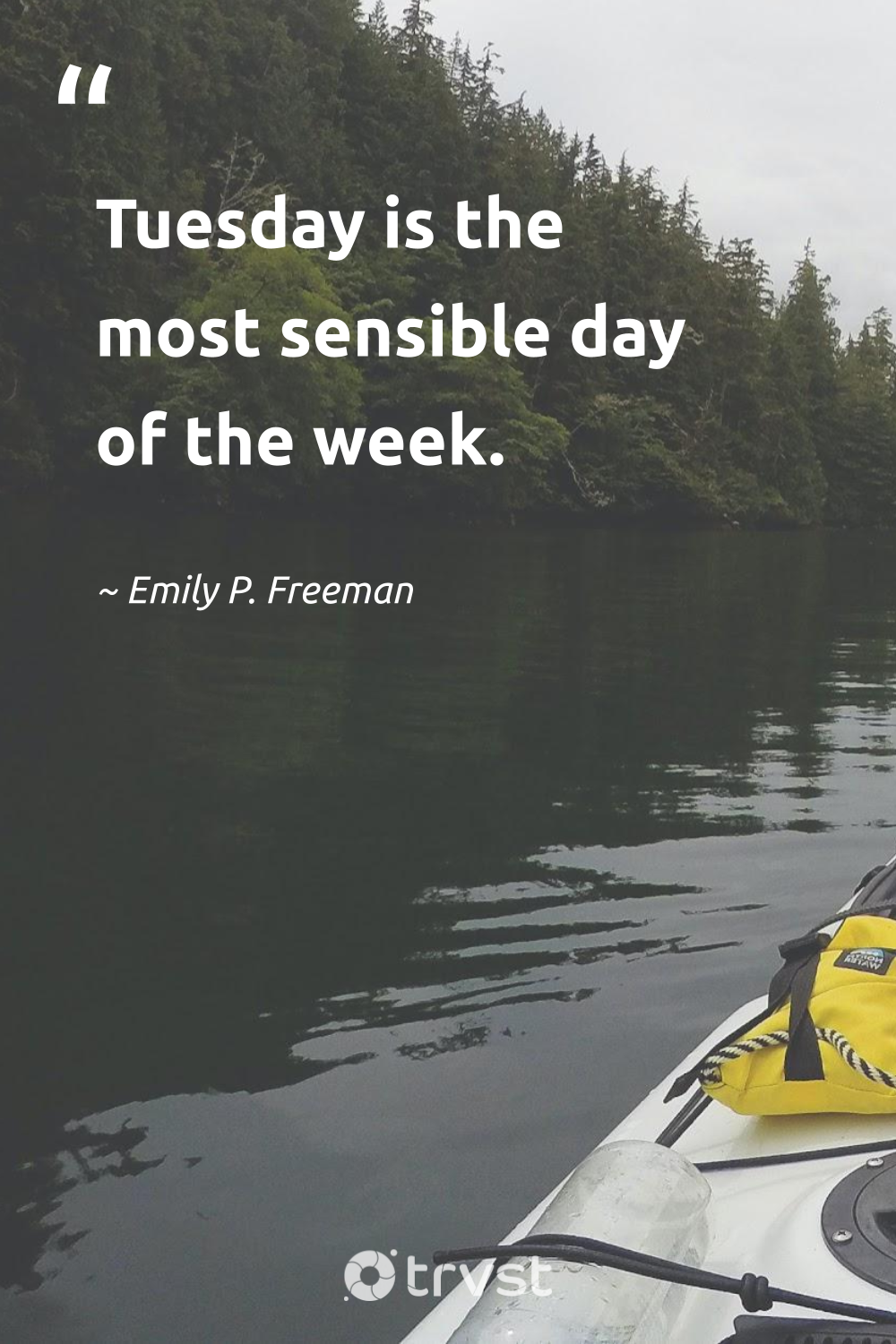 79 Tuesday Quotes and Sayings to Inspire a Terrific Day (2025)