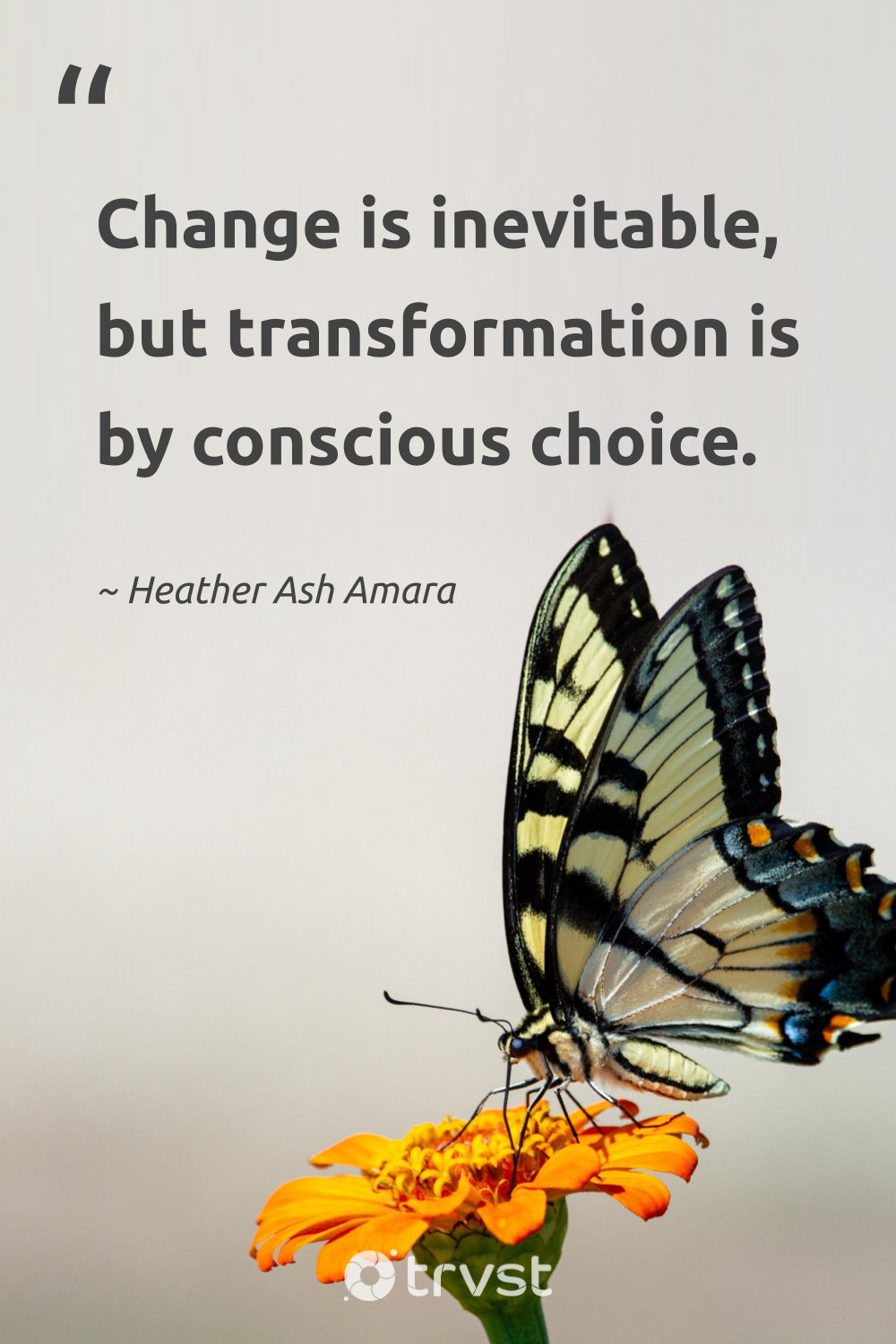 79 Tuesday Quotes and Sayings to Inspire a Terrific Day (2025)